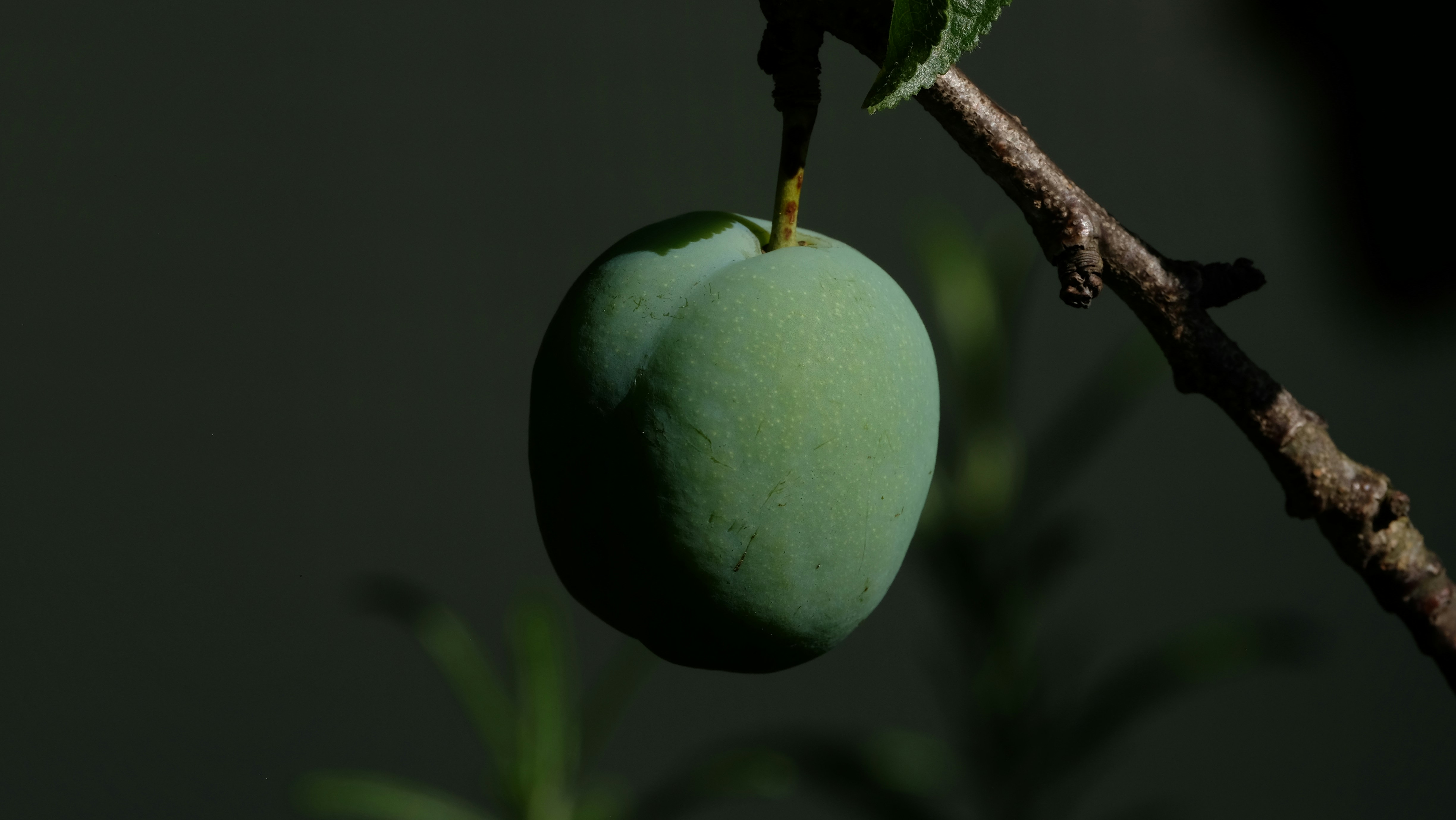 Emerging Green: Nature's Unripe Treasure