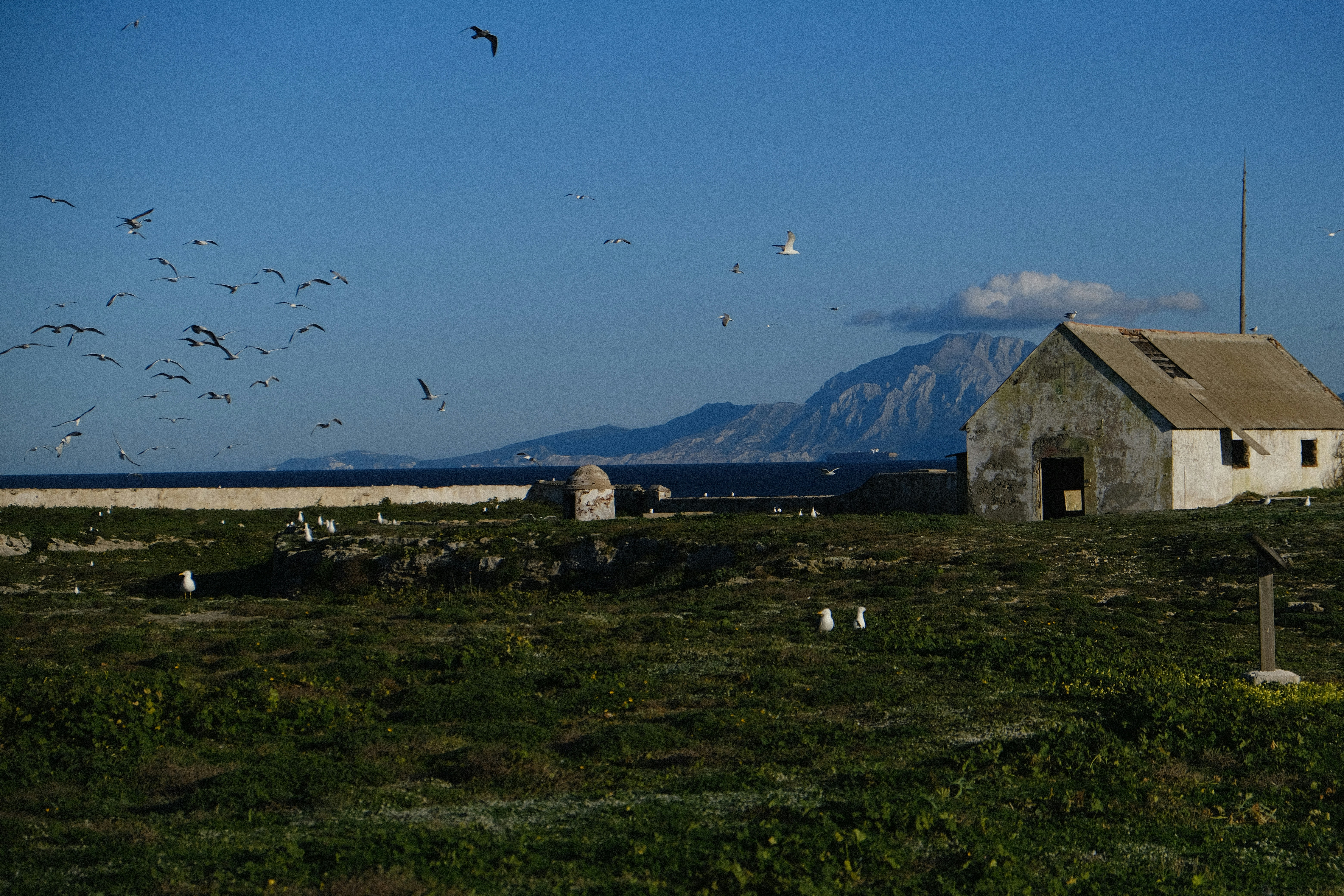 Birds fly over a rustic building and mountain.