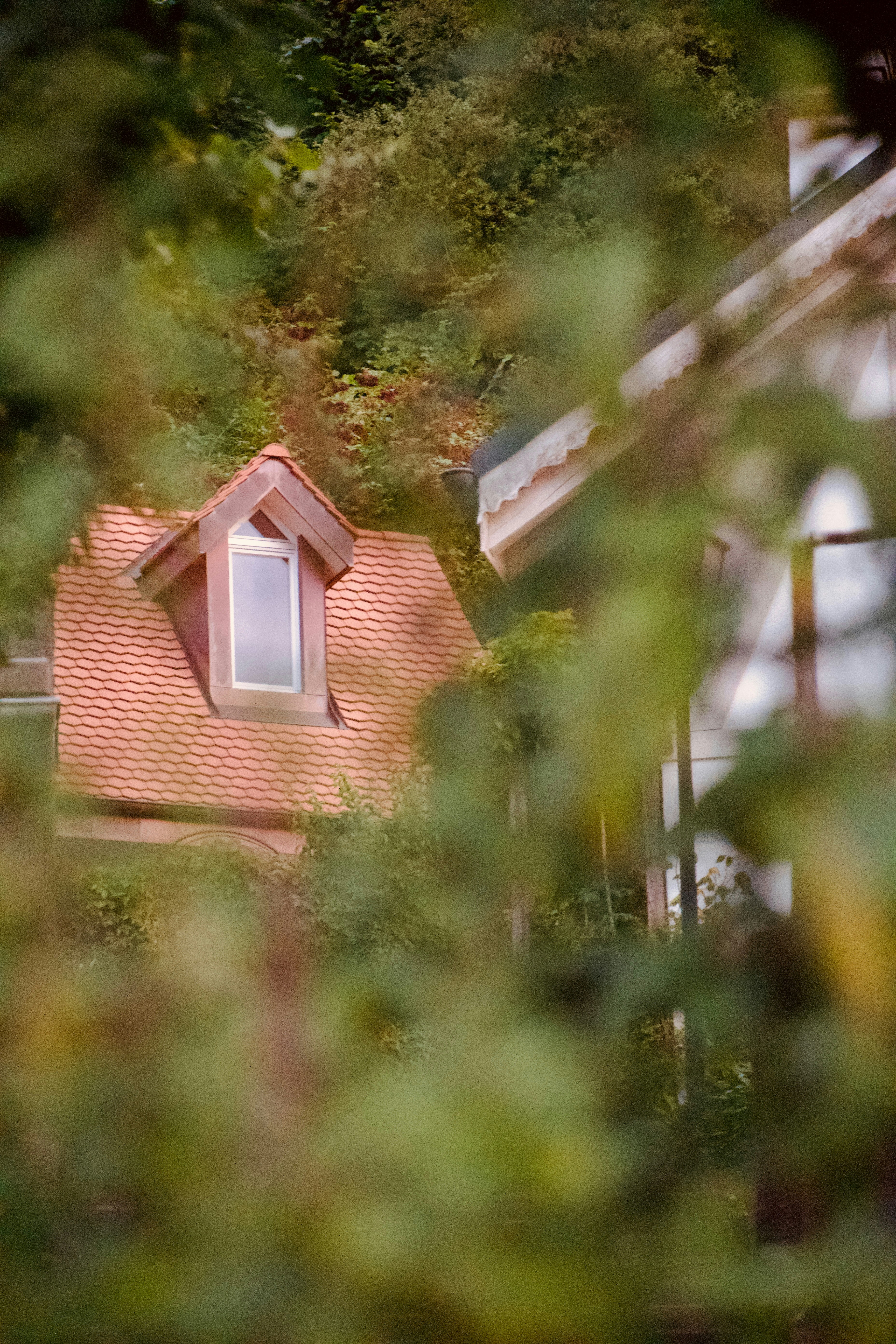 Whispers of a Hidden Cottage