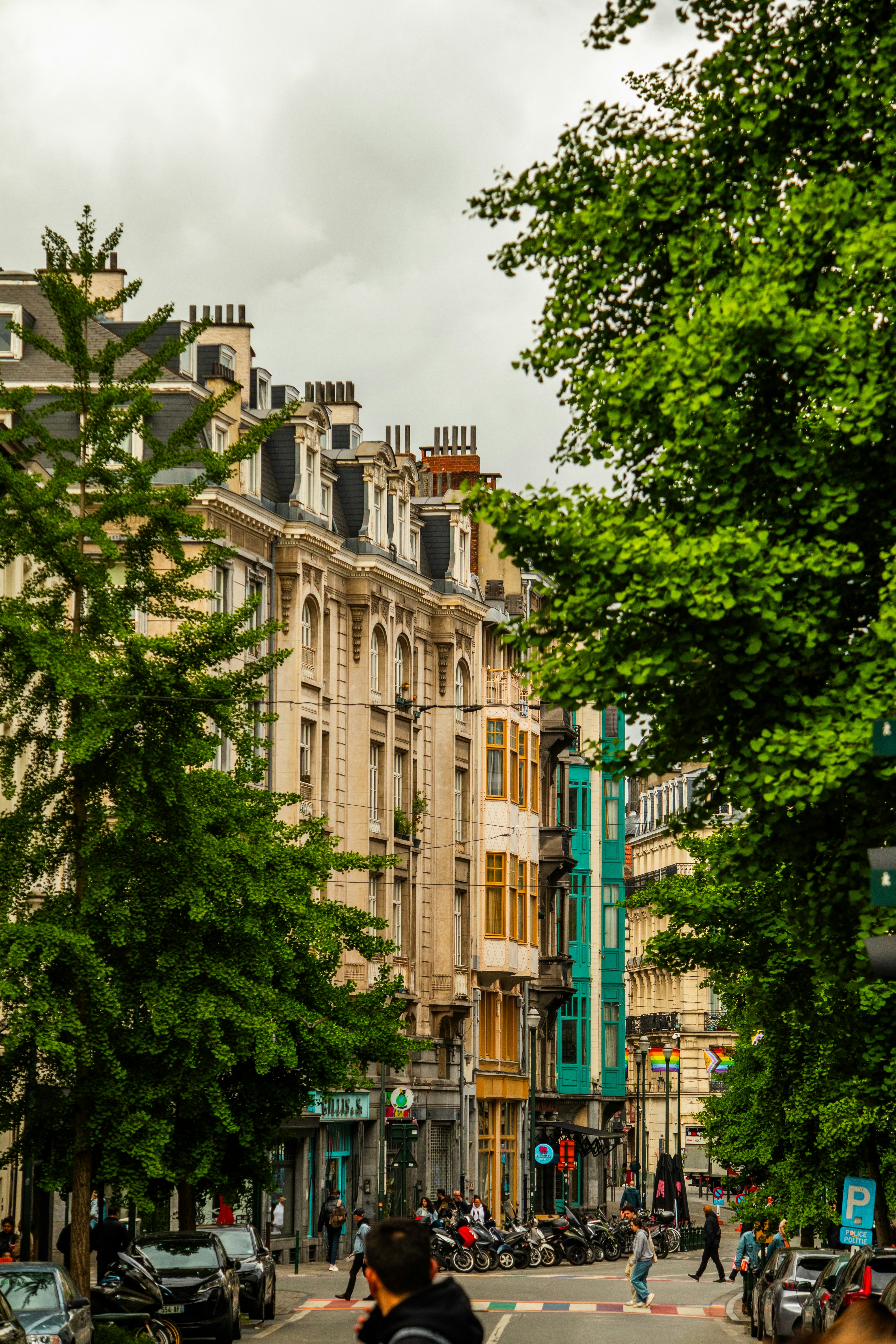 Urban street scene with old buildings and lush trees.