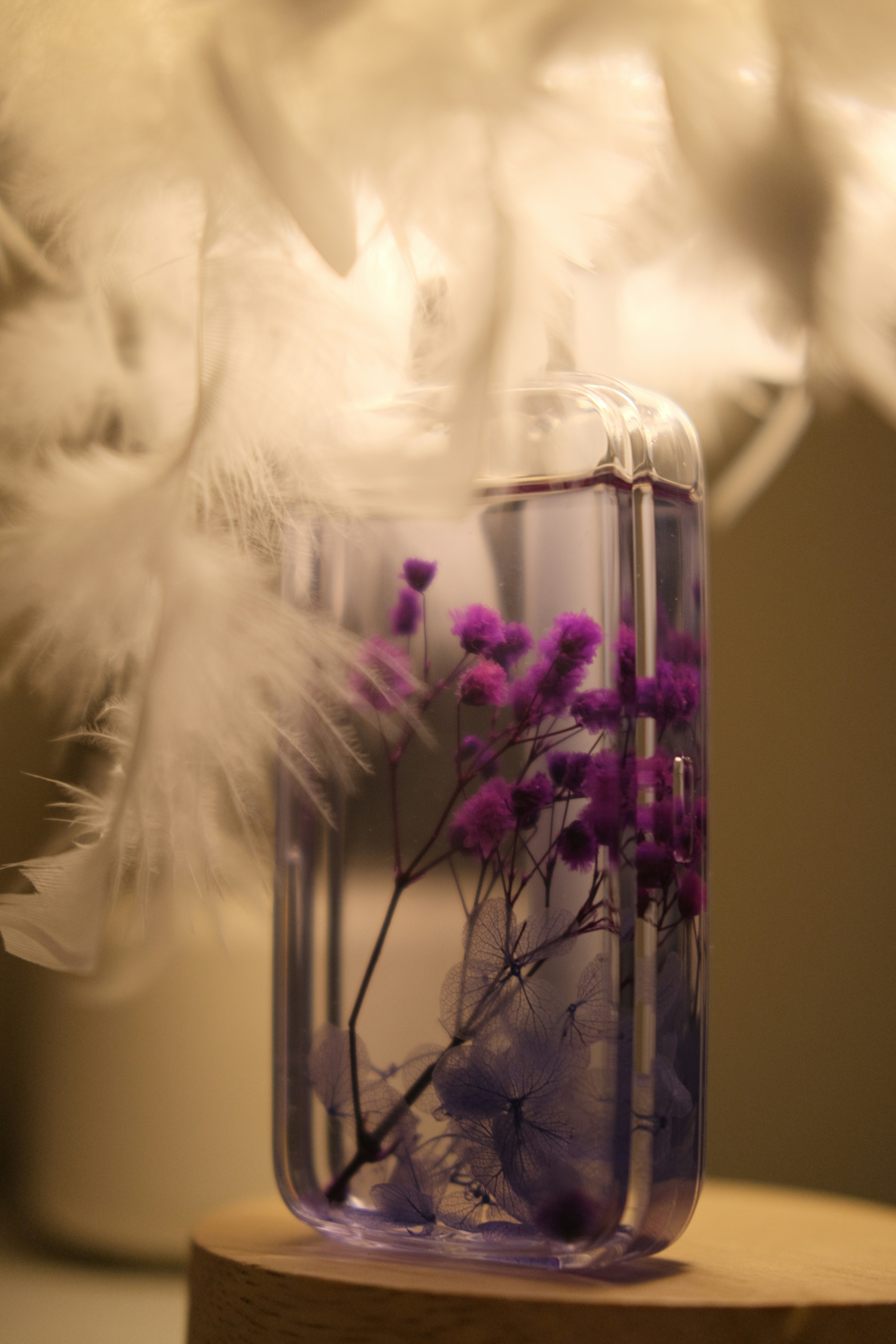Lilac in a Glass Capsule: Quiet Glow Among Feathers