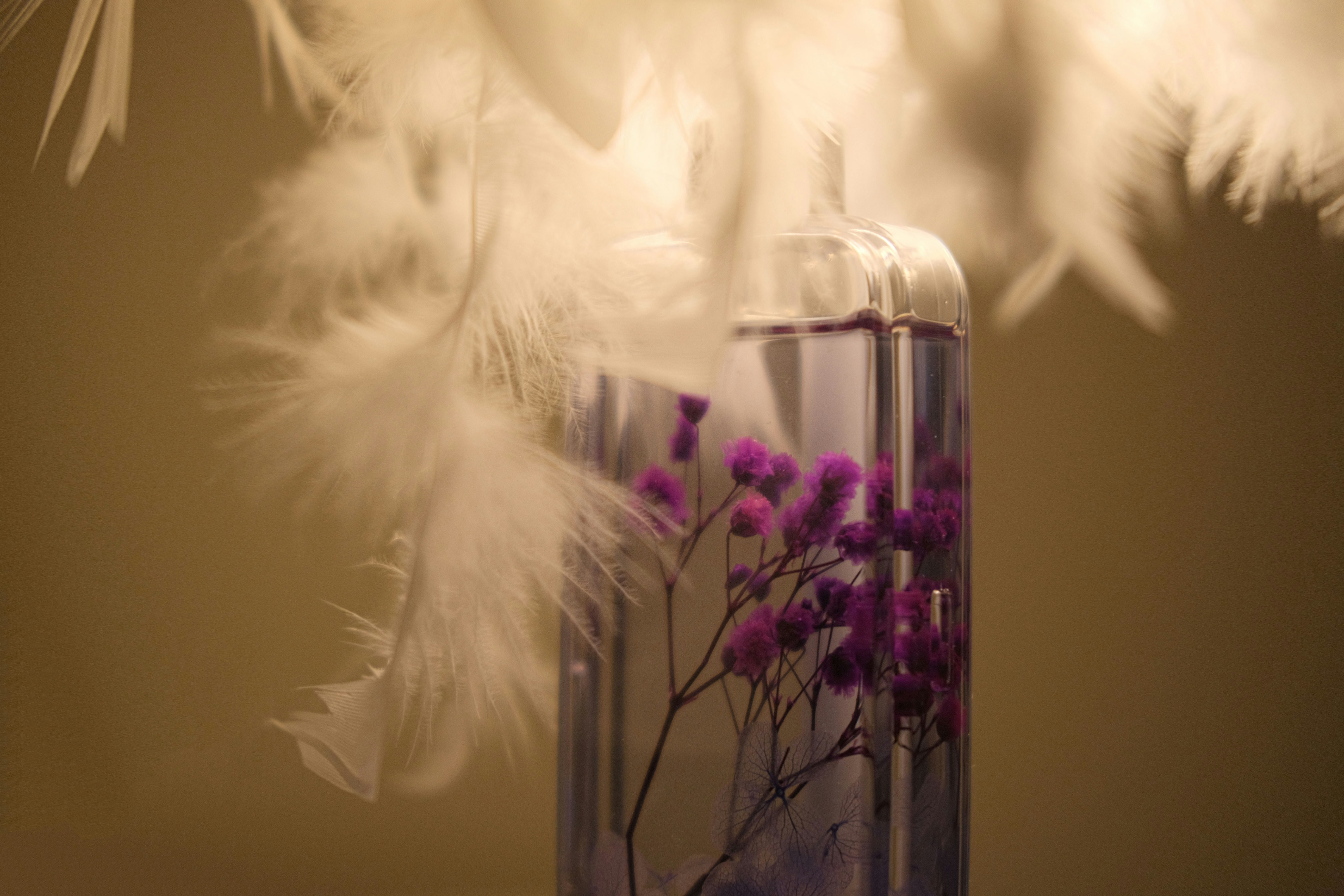Whispers of Elegance: A Floral Serenity