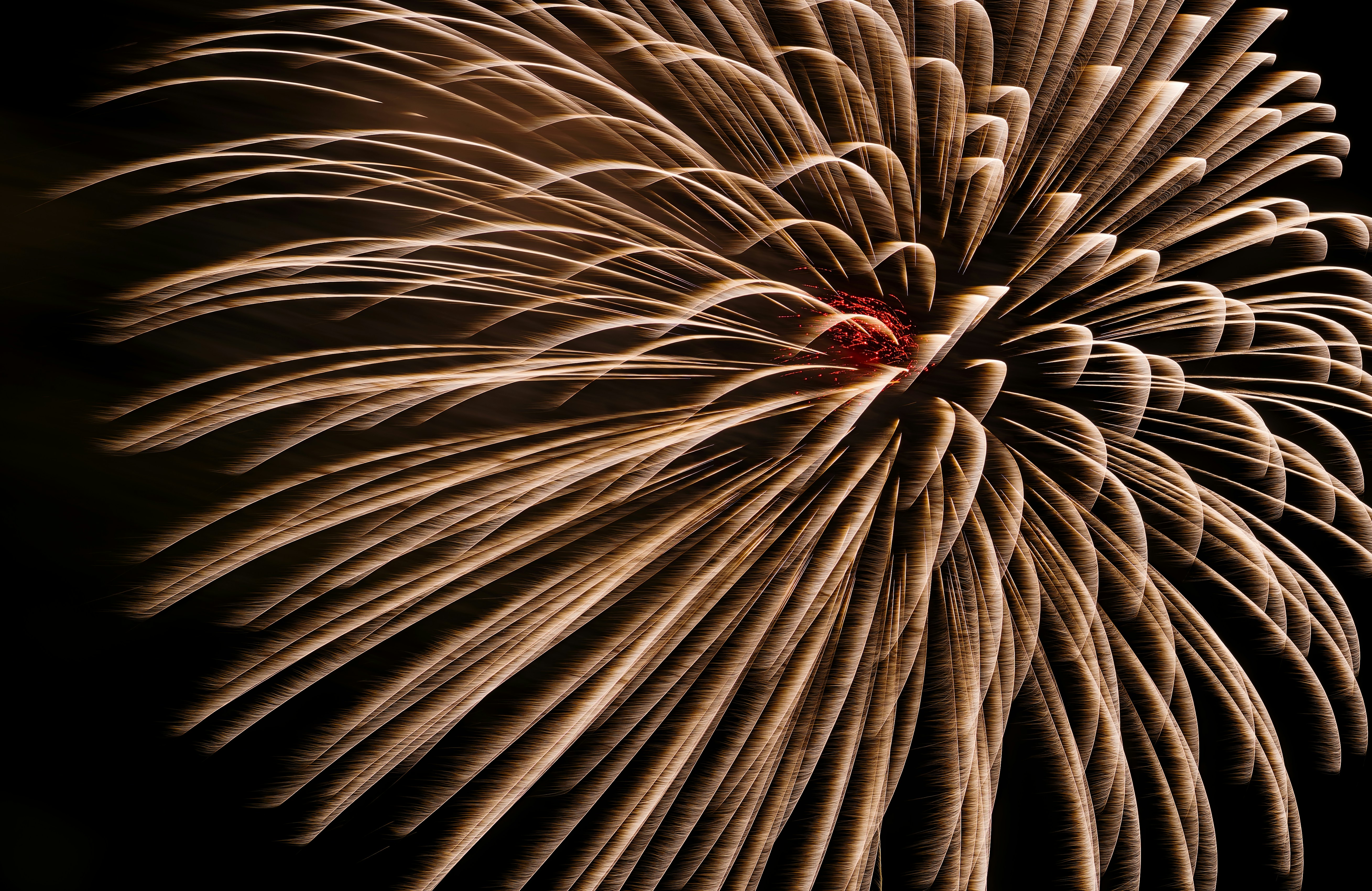 Fireworks bursting with an explosion of light.