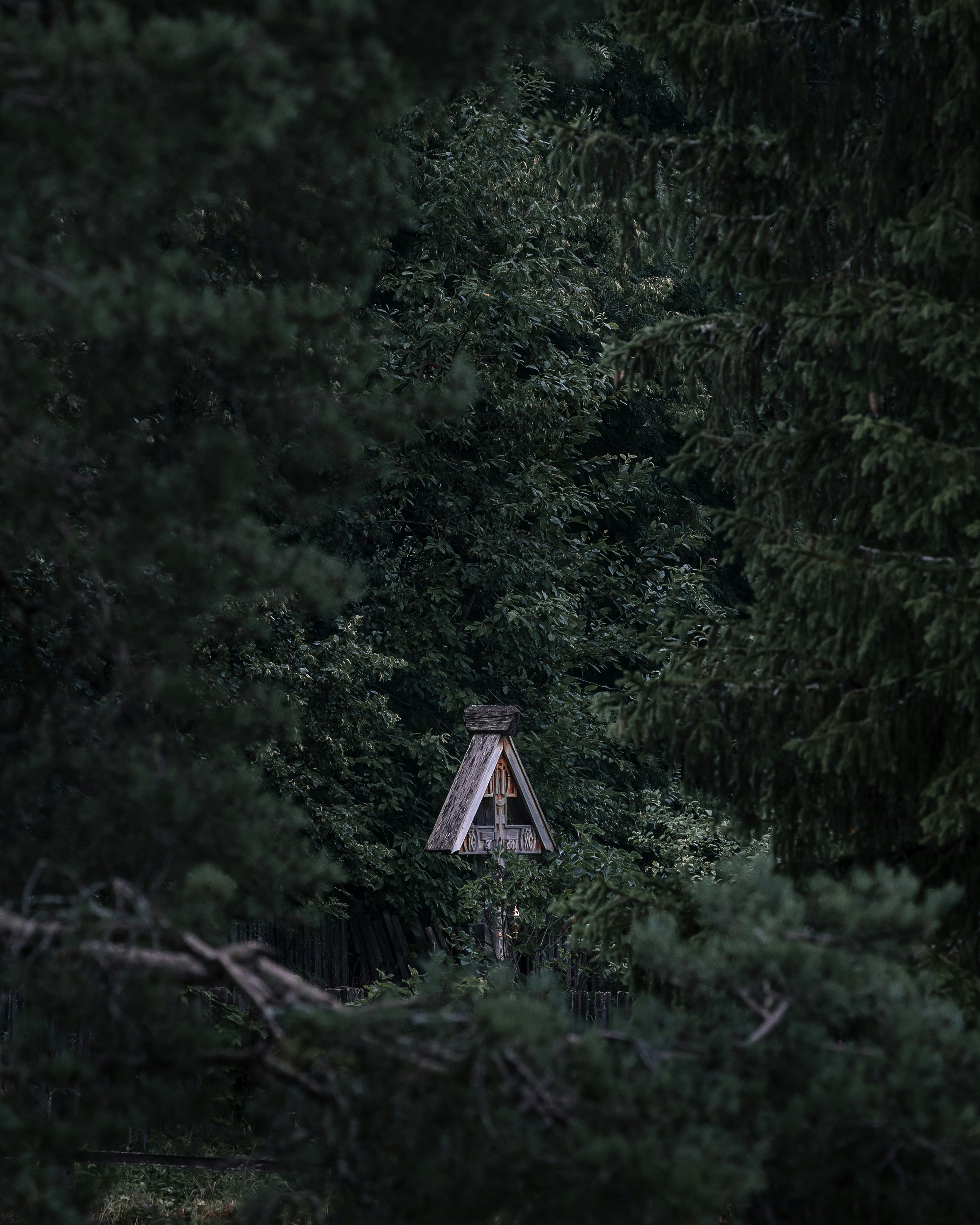A wooden cross rests amidst dense, dark trees.