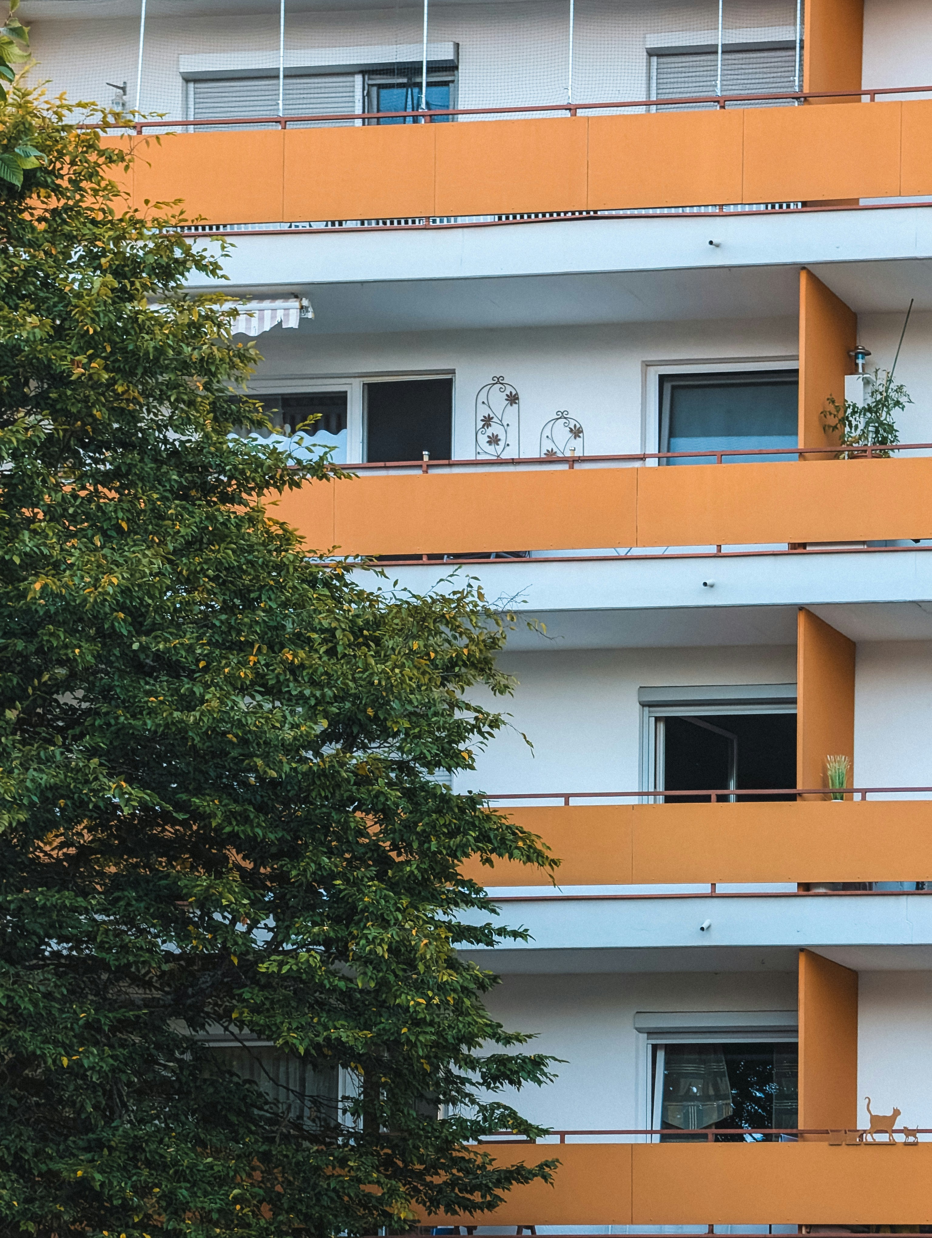 Orange Balconies and Green Tree | Apartment building with orange balconies and a tree.