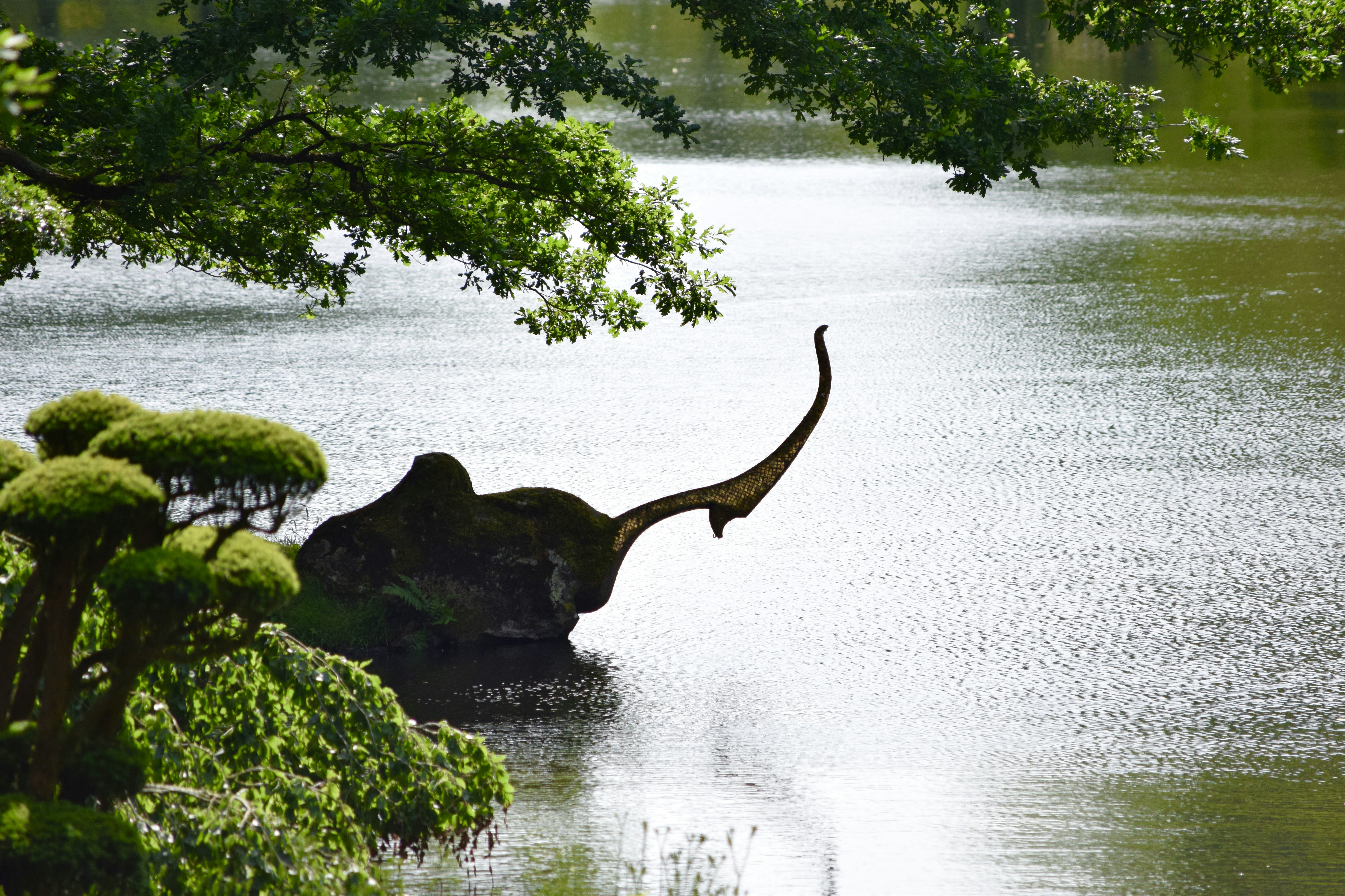A dinosaur sculpture emerges from a serene lake.