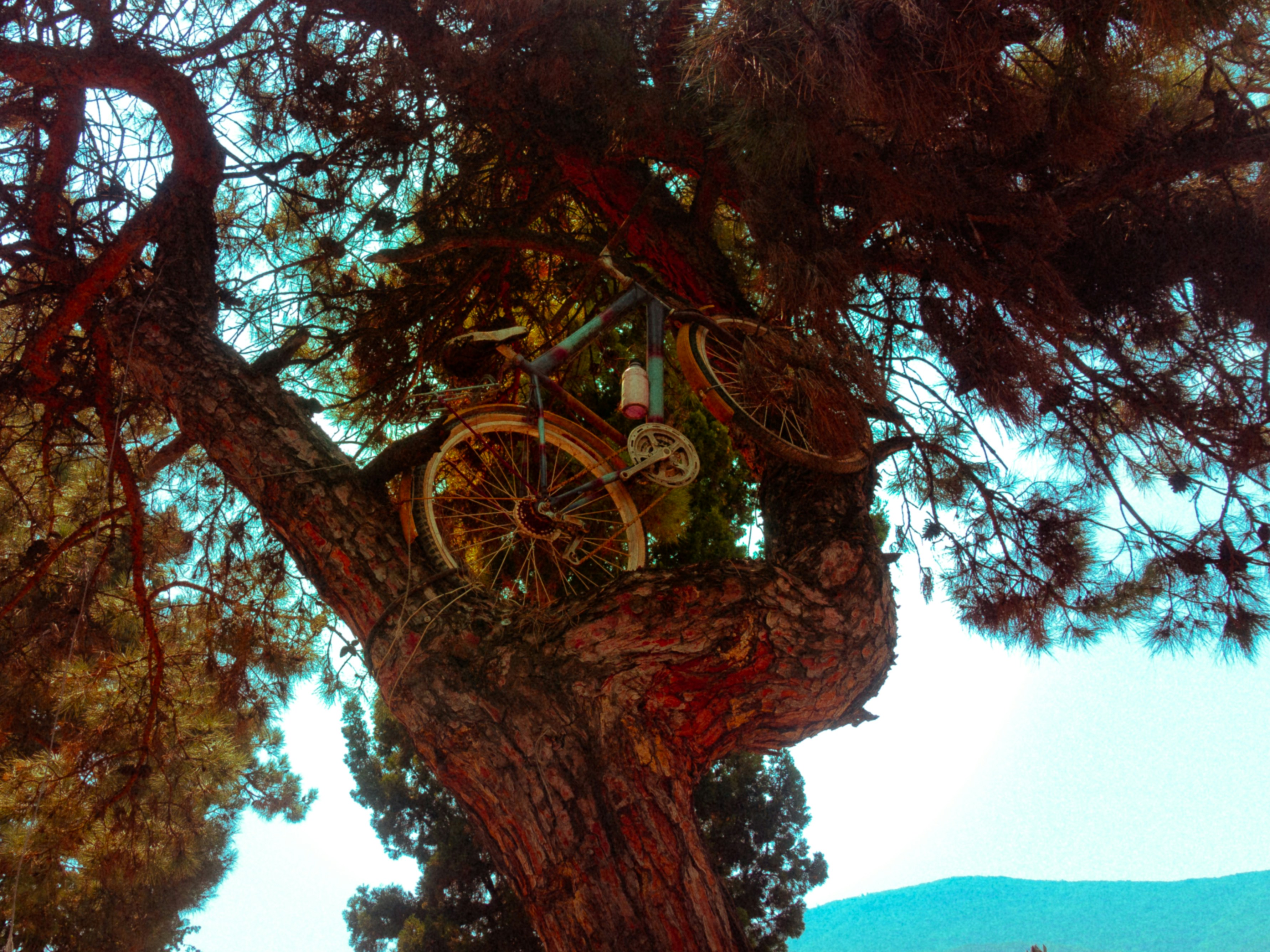 Photo by Alexander starcew with Sony RX100 III