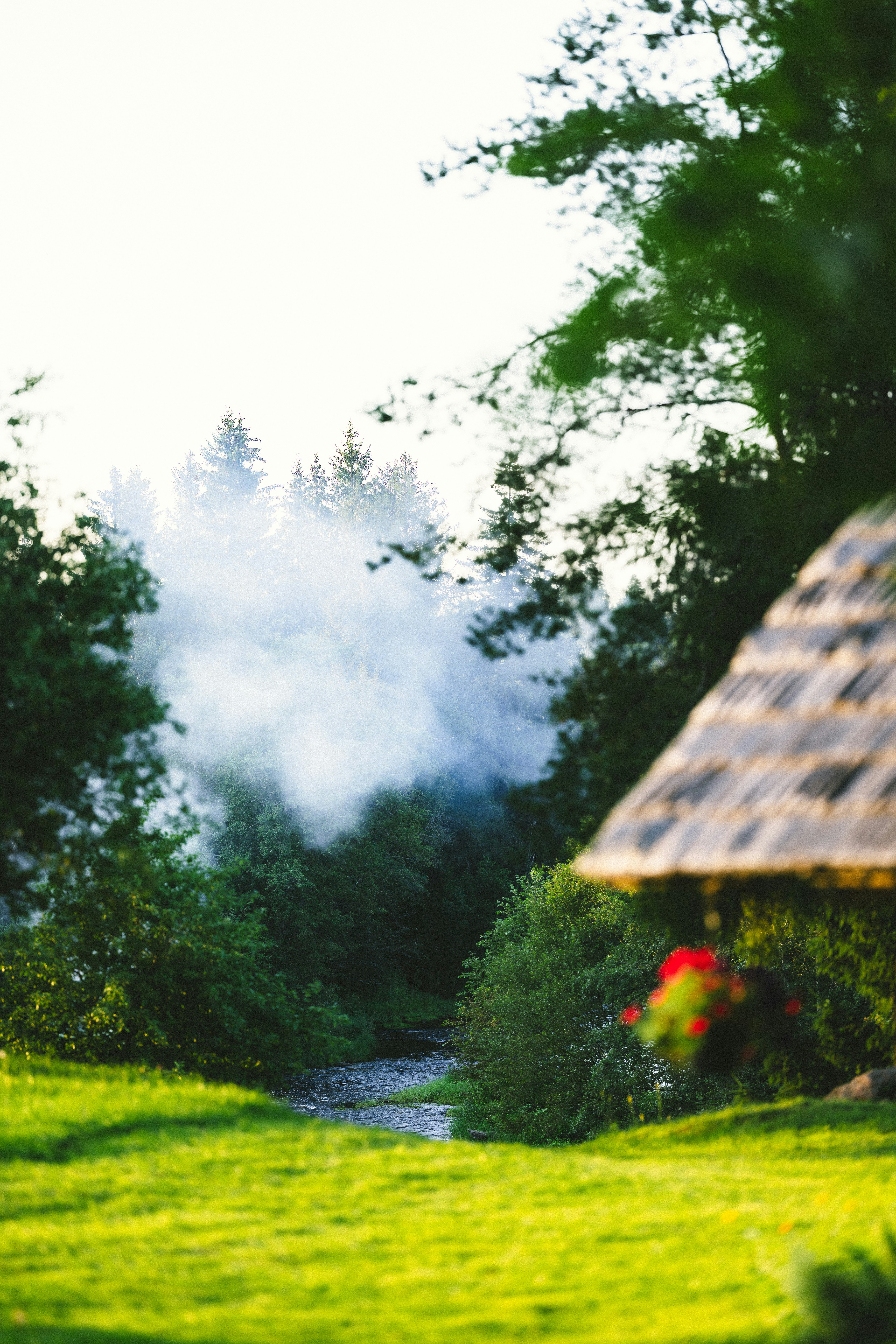 Whispers of Morning Mist Over the Stream