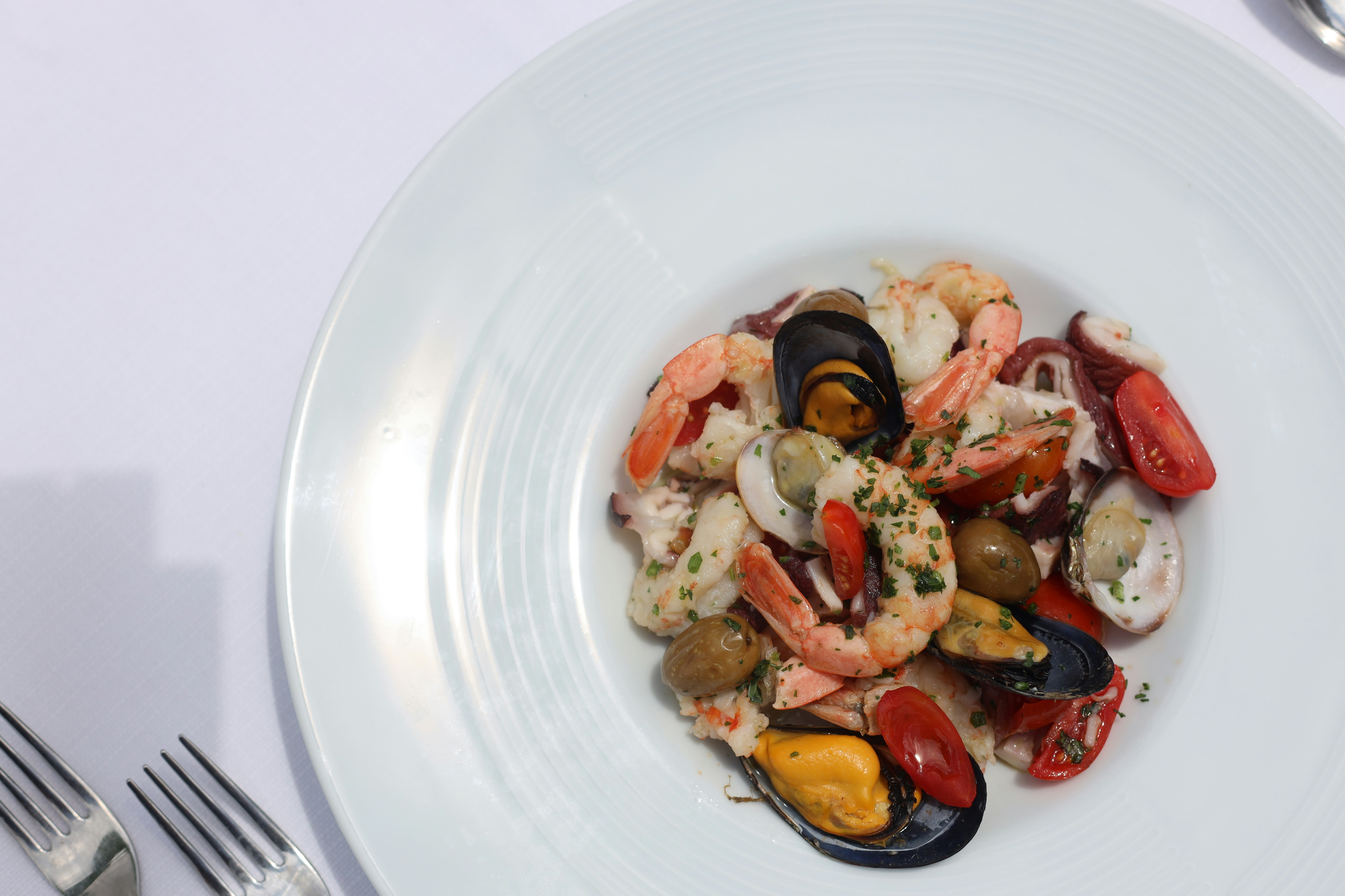 italian food | Seafood salad beautifully plated on a white dish.