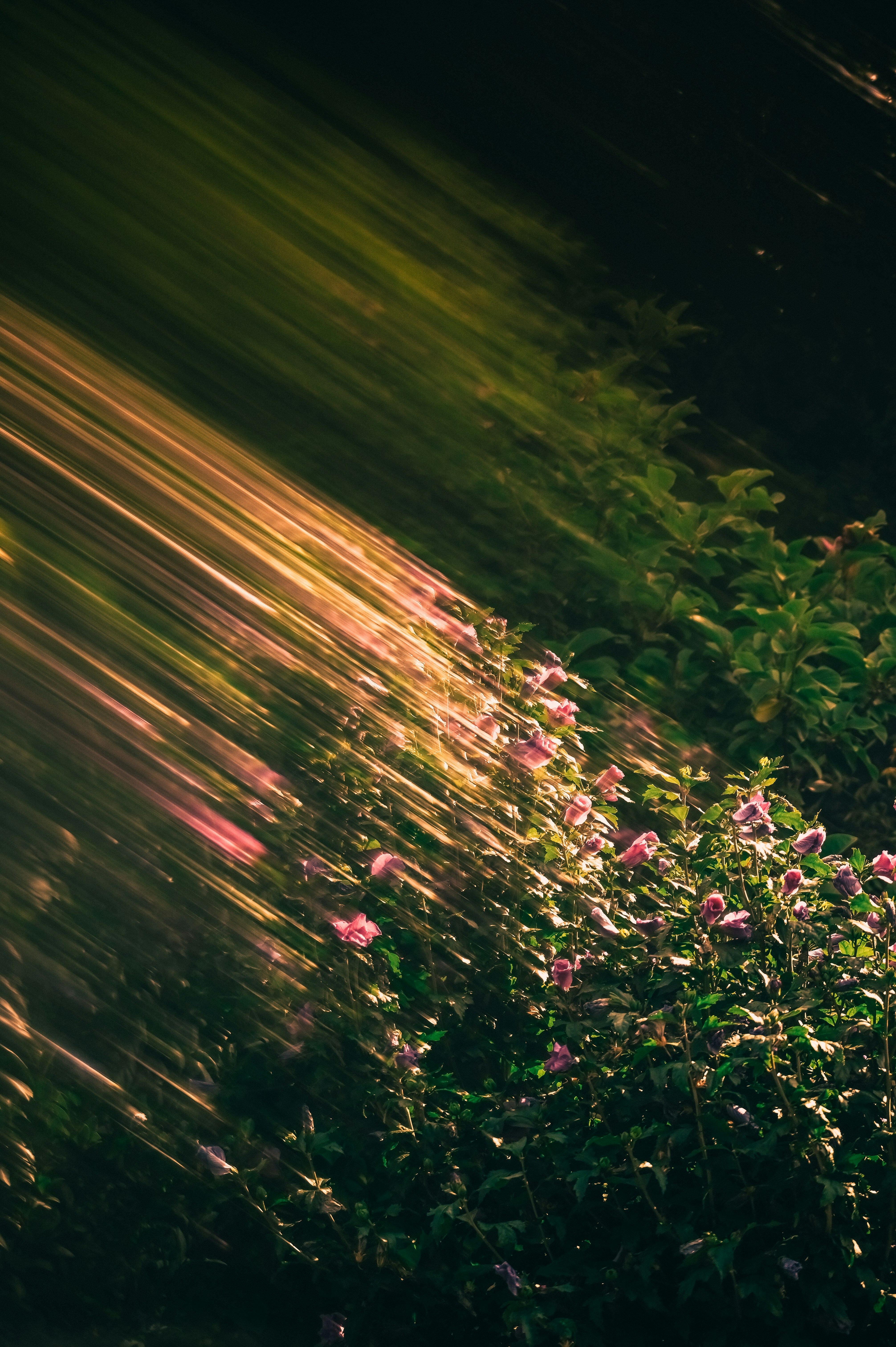 Vibrant flowers emerge from a lush green backdrop, captured with a sense of dynamic movement. The interplay of light and motion creates an ethereal atmosphere.