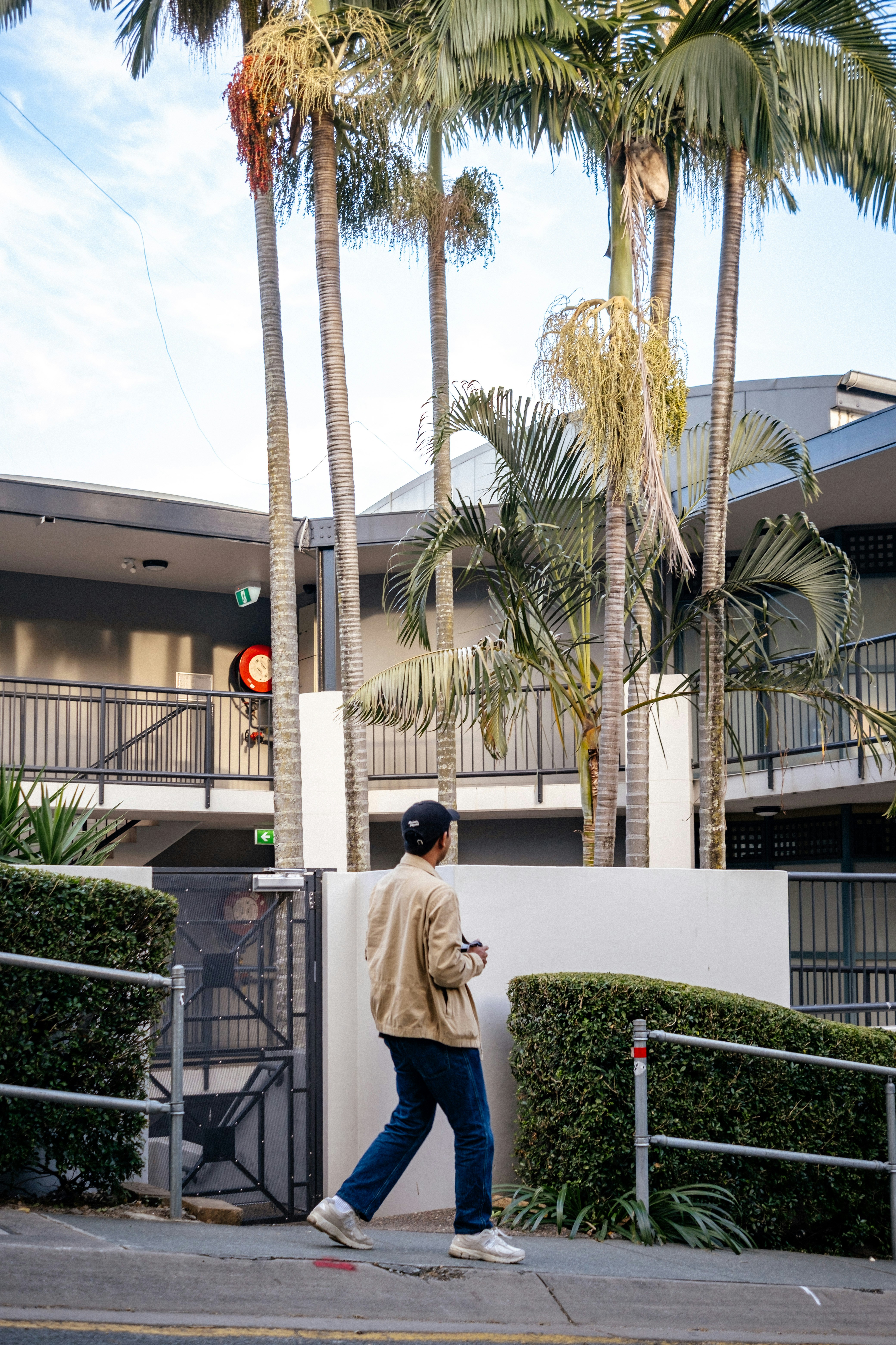 Urban Stroll Amidst Tropical Greens
