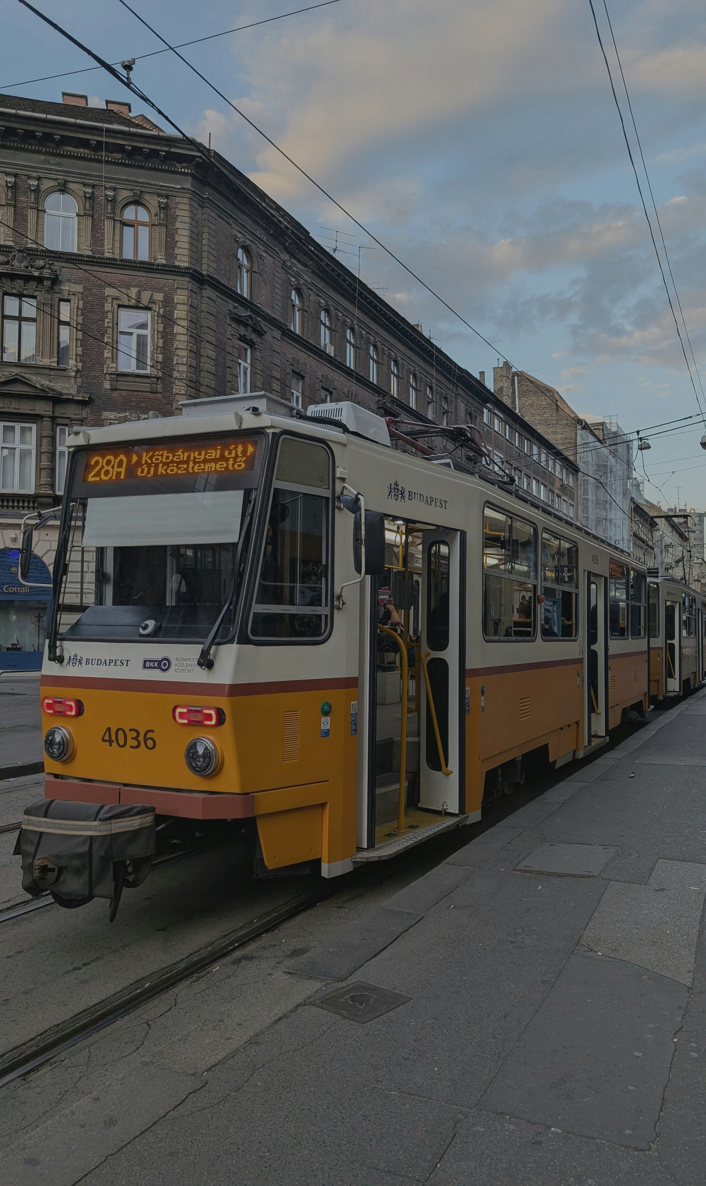 Lisa Seifert (@lisa_seife) | Unsplash Photo Community