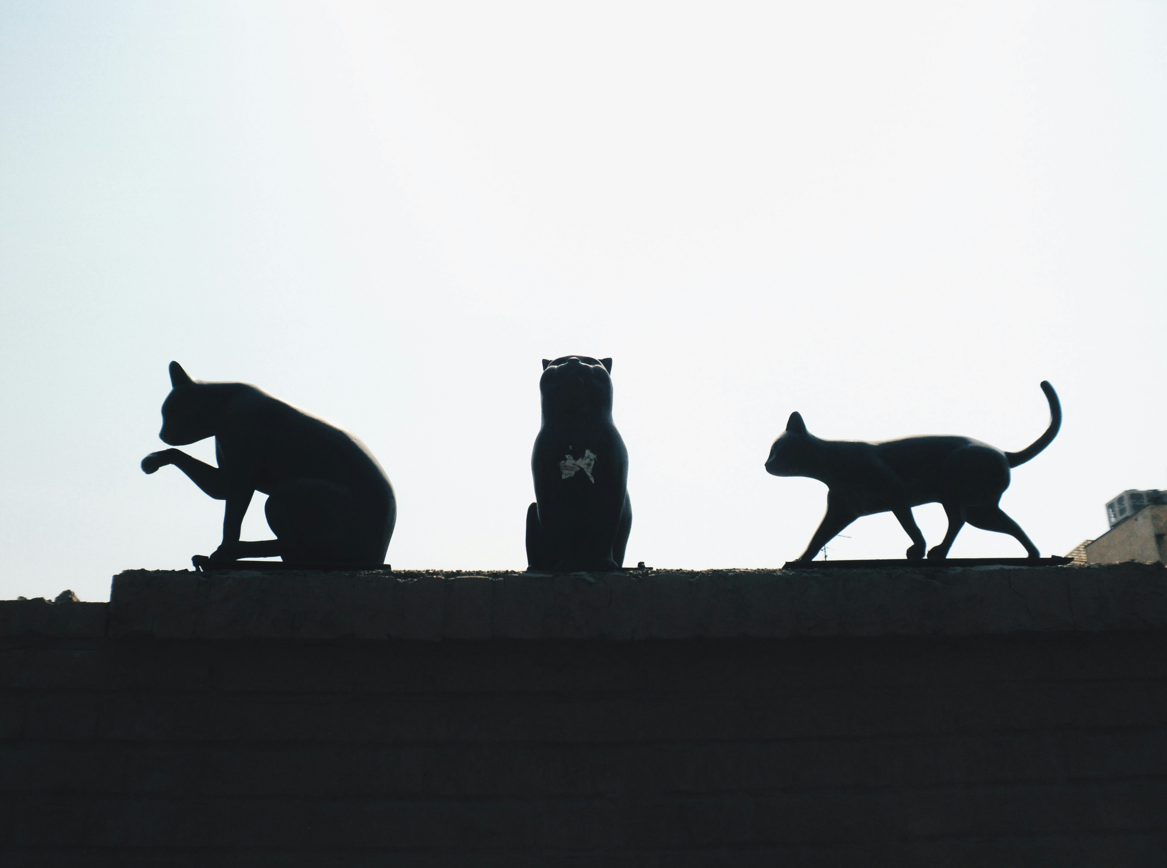 And then there were three. | Silhouetted cat statues sit upon a rooftop.