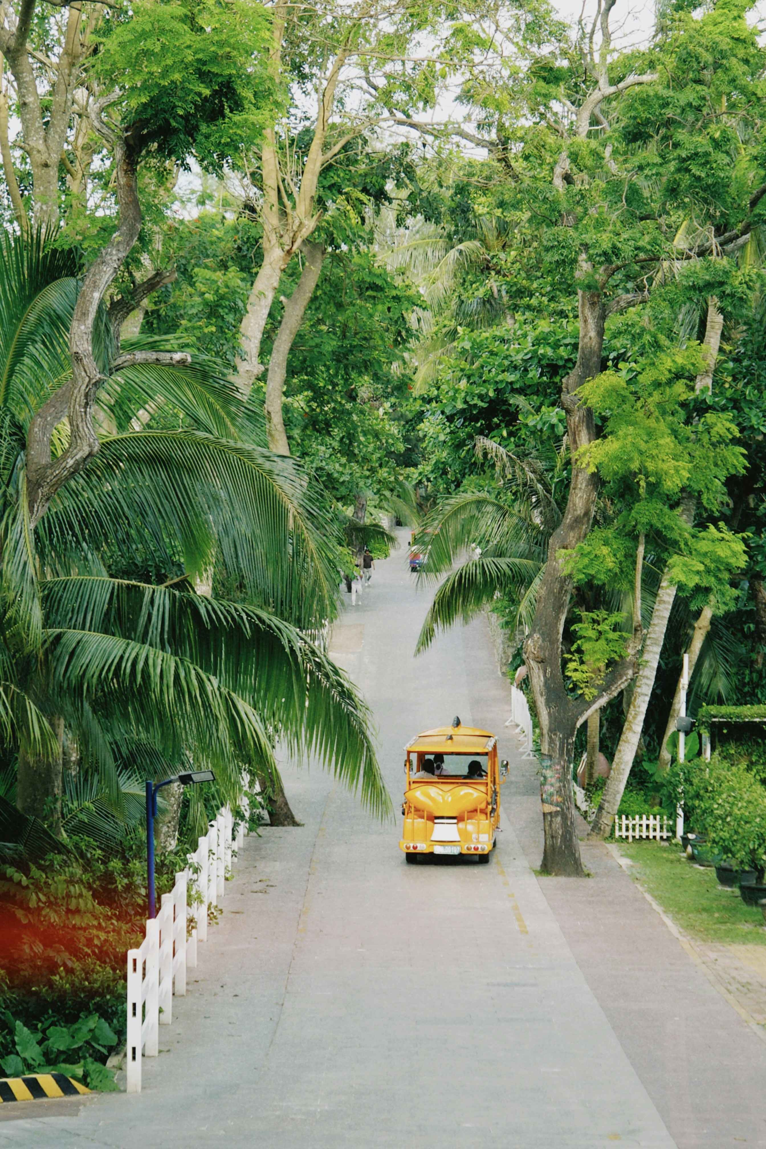 A yellow vehicle travels down a tree-lined road.
