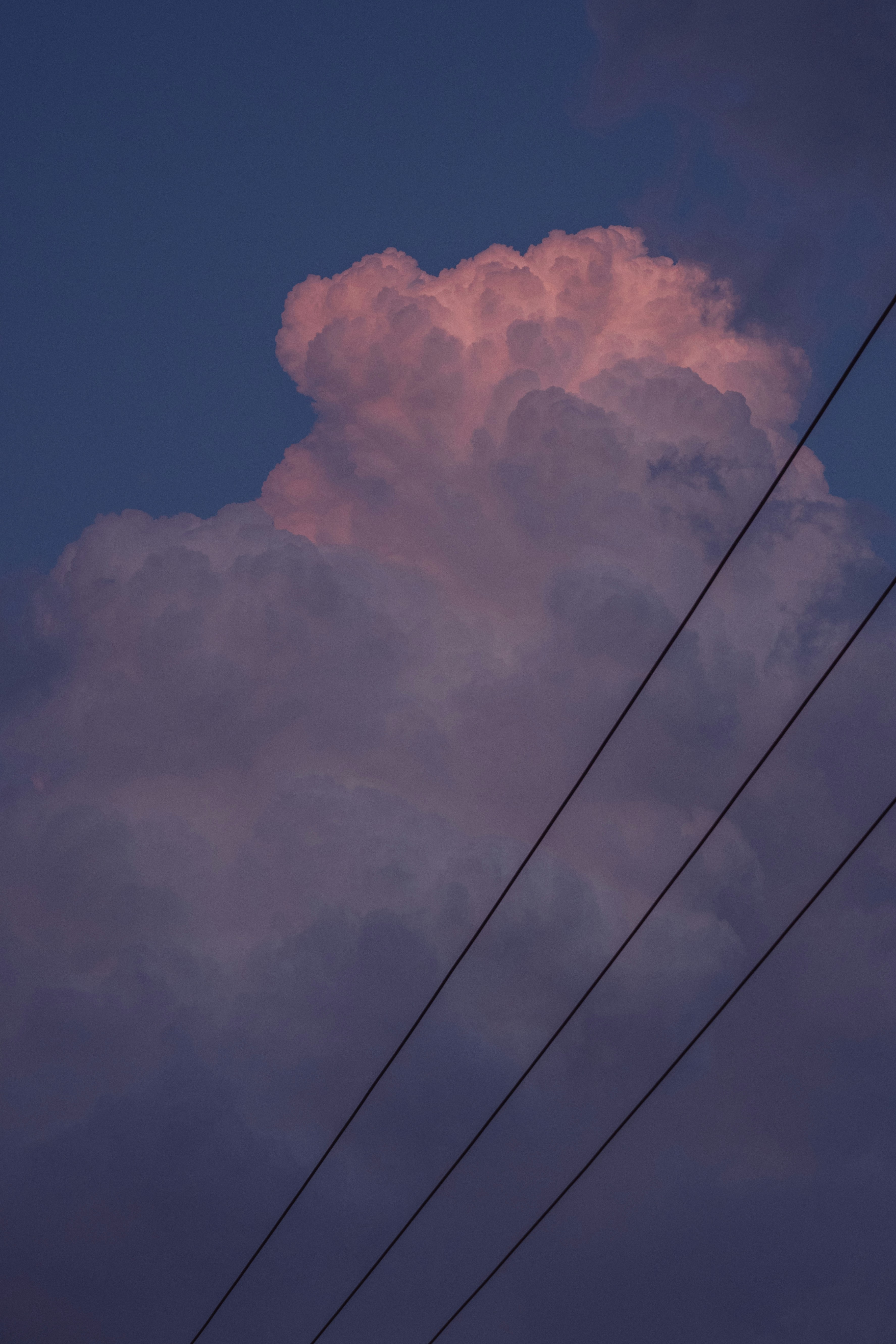 cumulonimbus | Pink clouds and power lines against a blue sky.