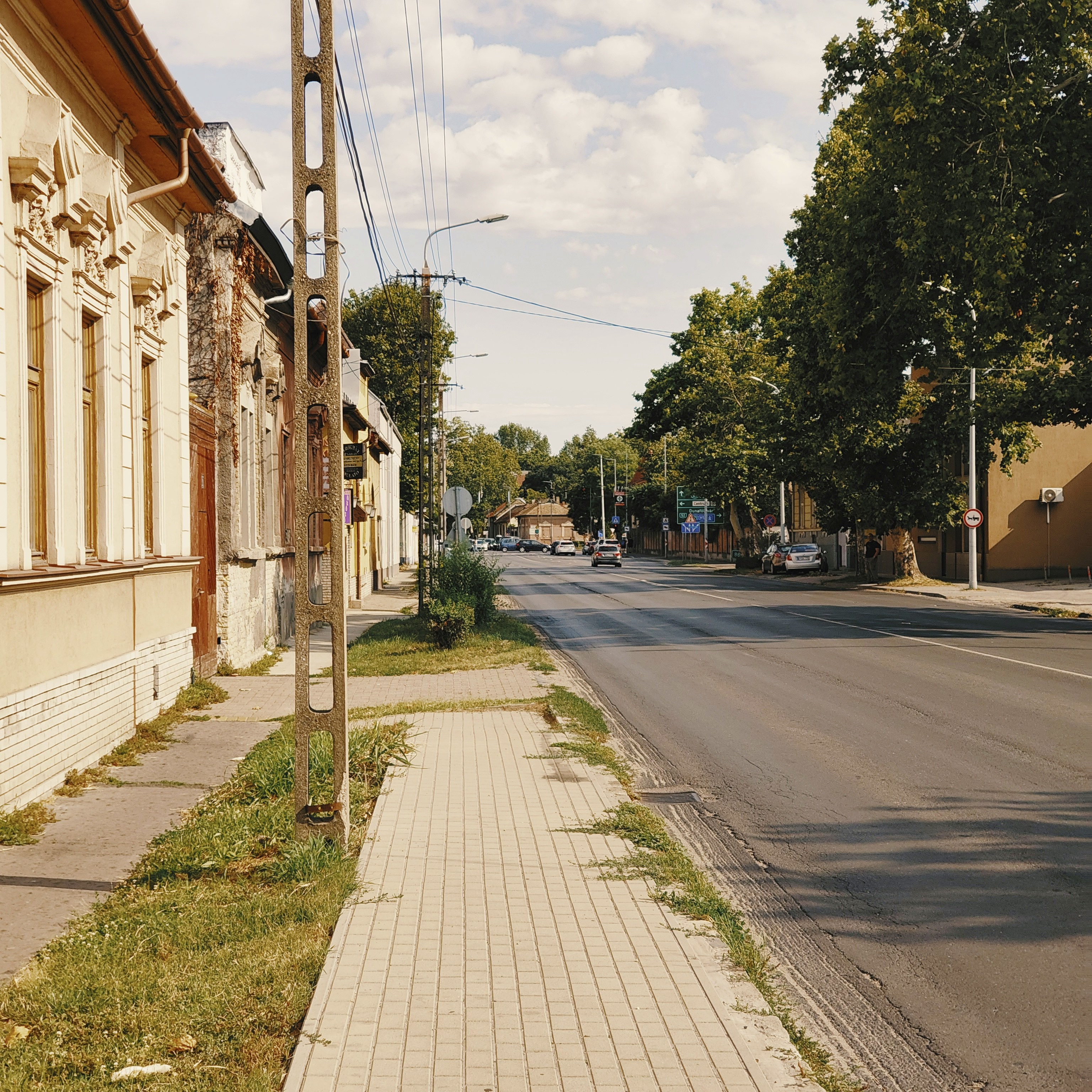 A quiet street with buildings and trees.