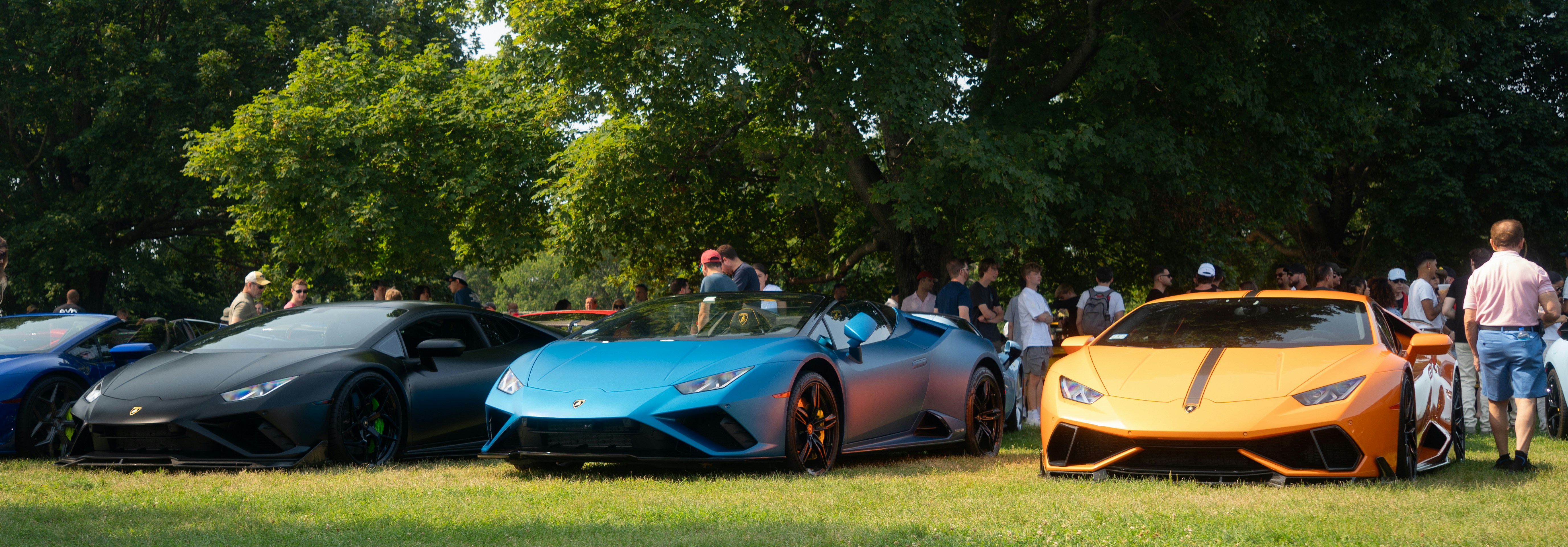 A Symphony of Speed: The Lamborghini Lineup