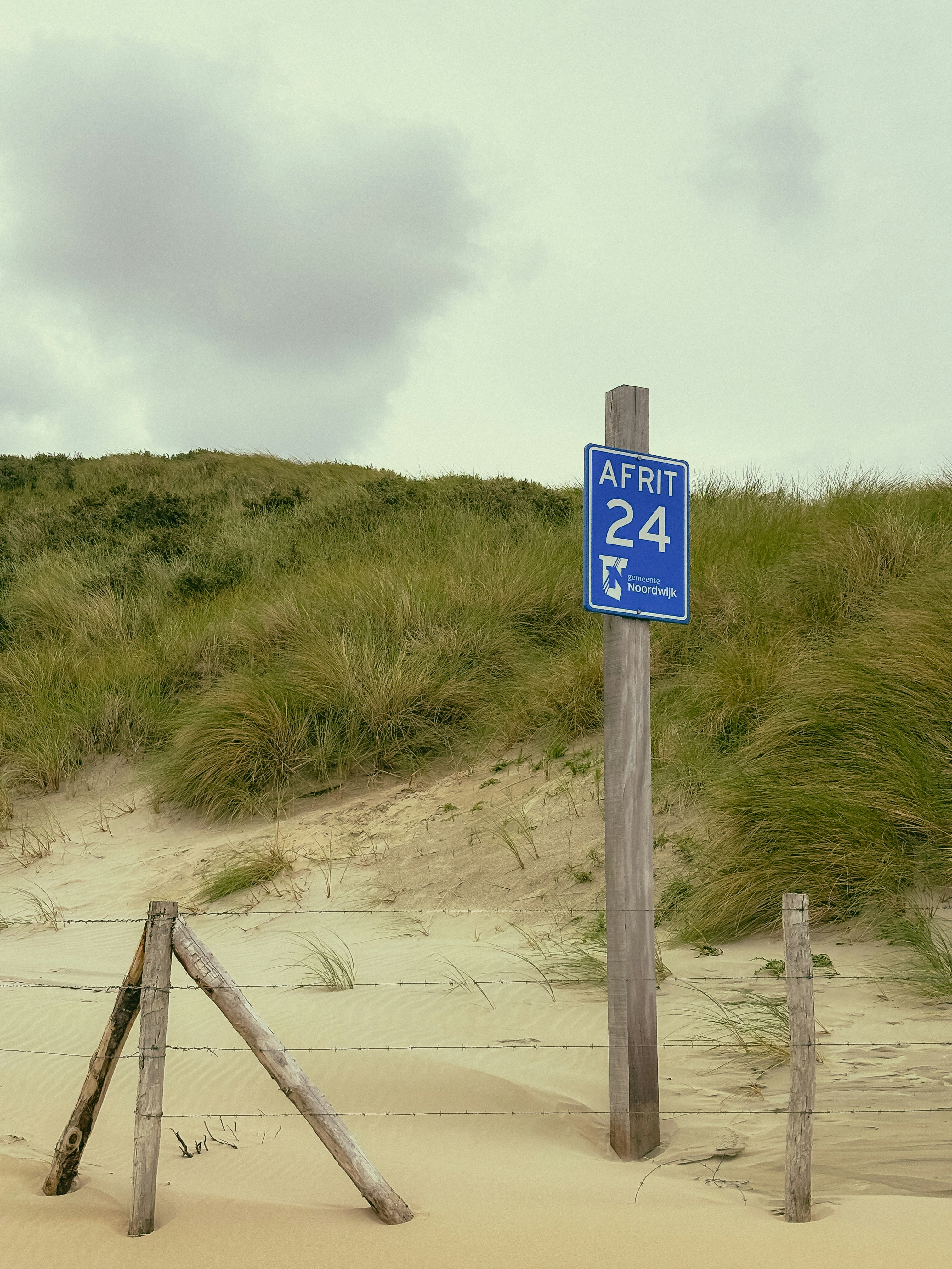 Guiding Marker Amidst Nature's Palette