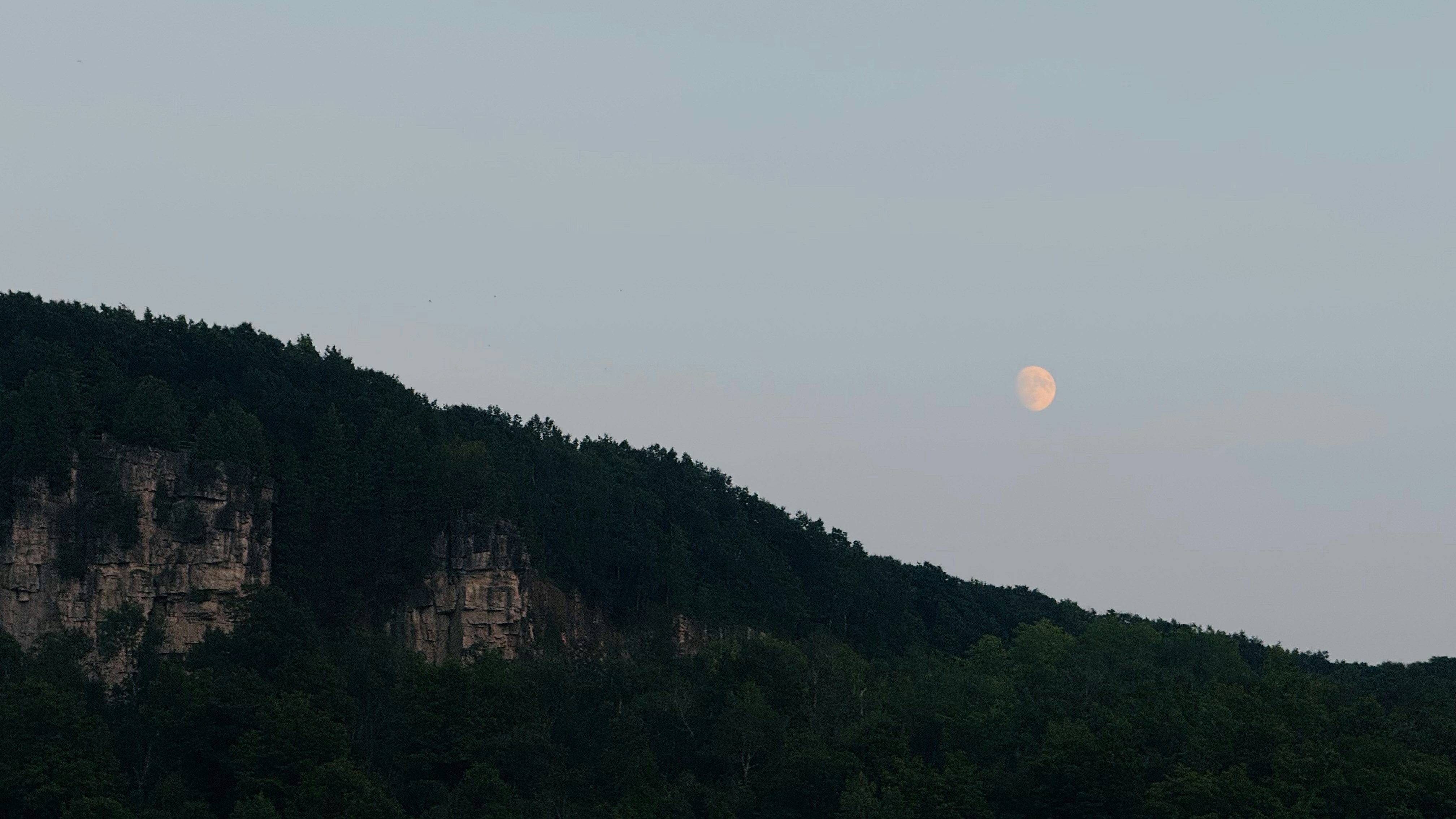 Lunar Serenity Over Woodland Heights