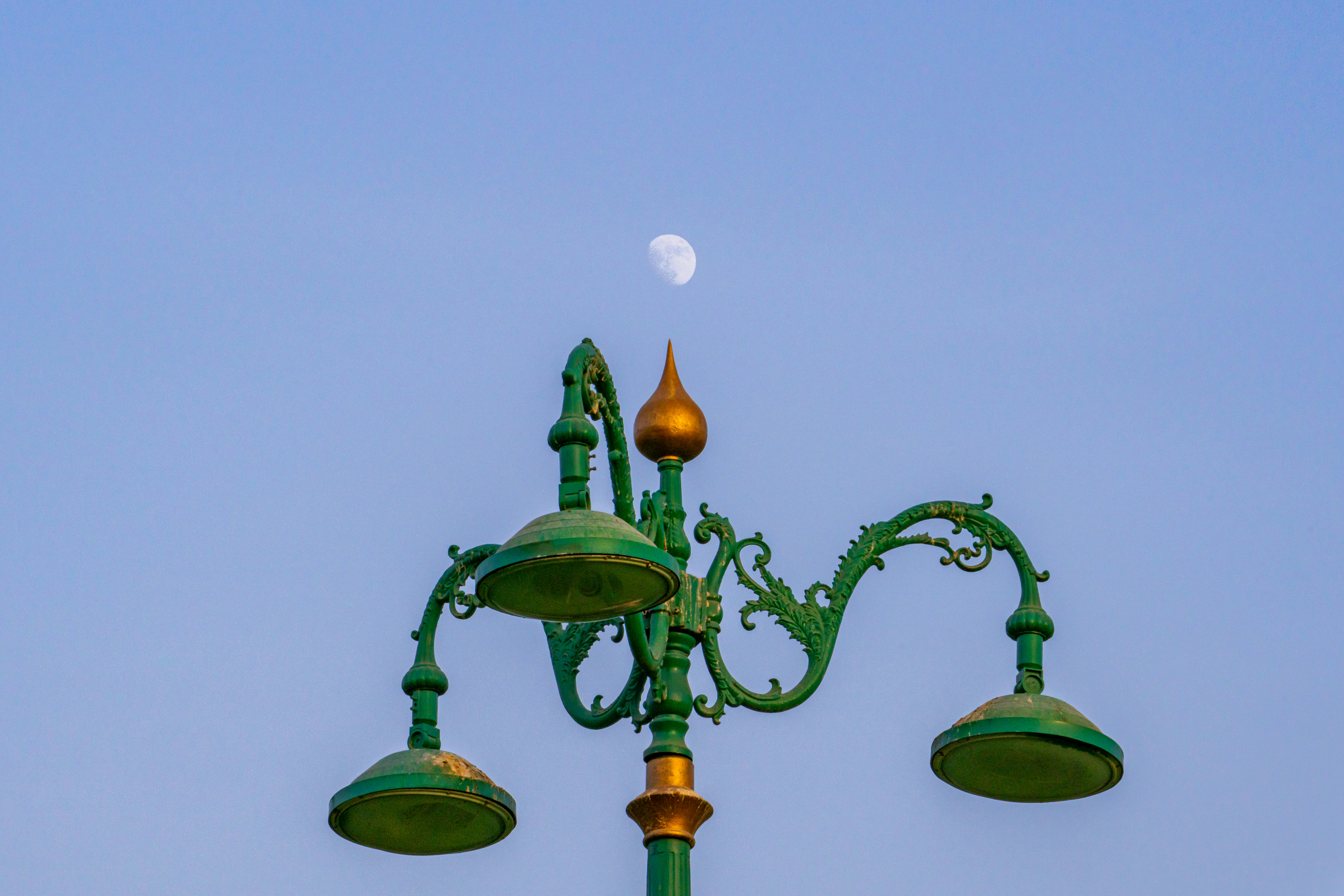 Lunar Embrace: A Streetlight's Solitary Watch