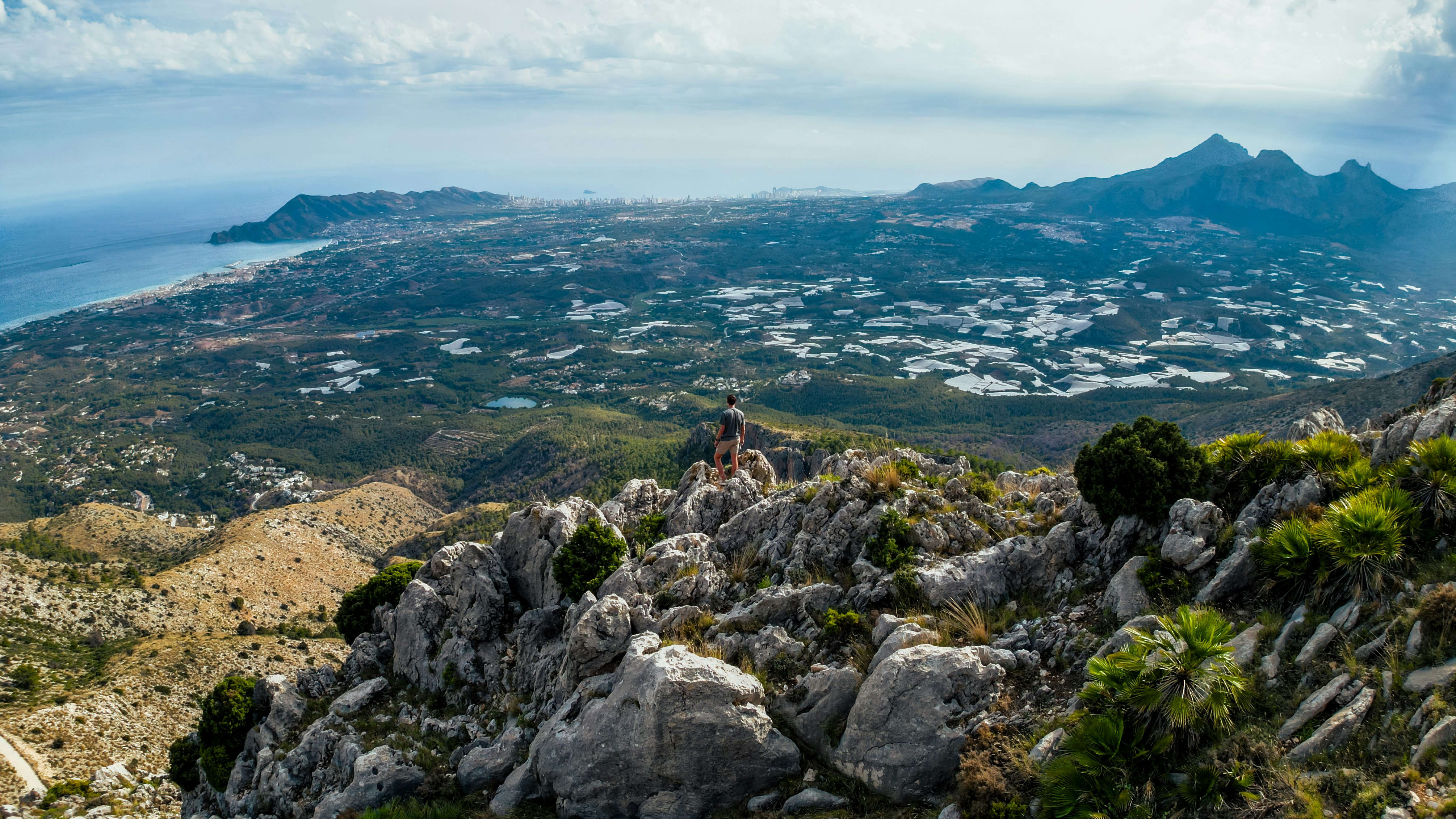 Aerial Vista: Nature's Patchwork from the Summit