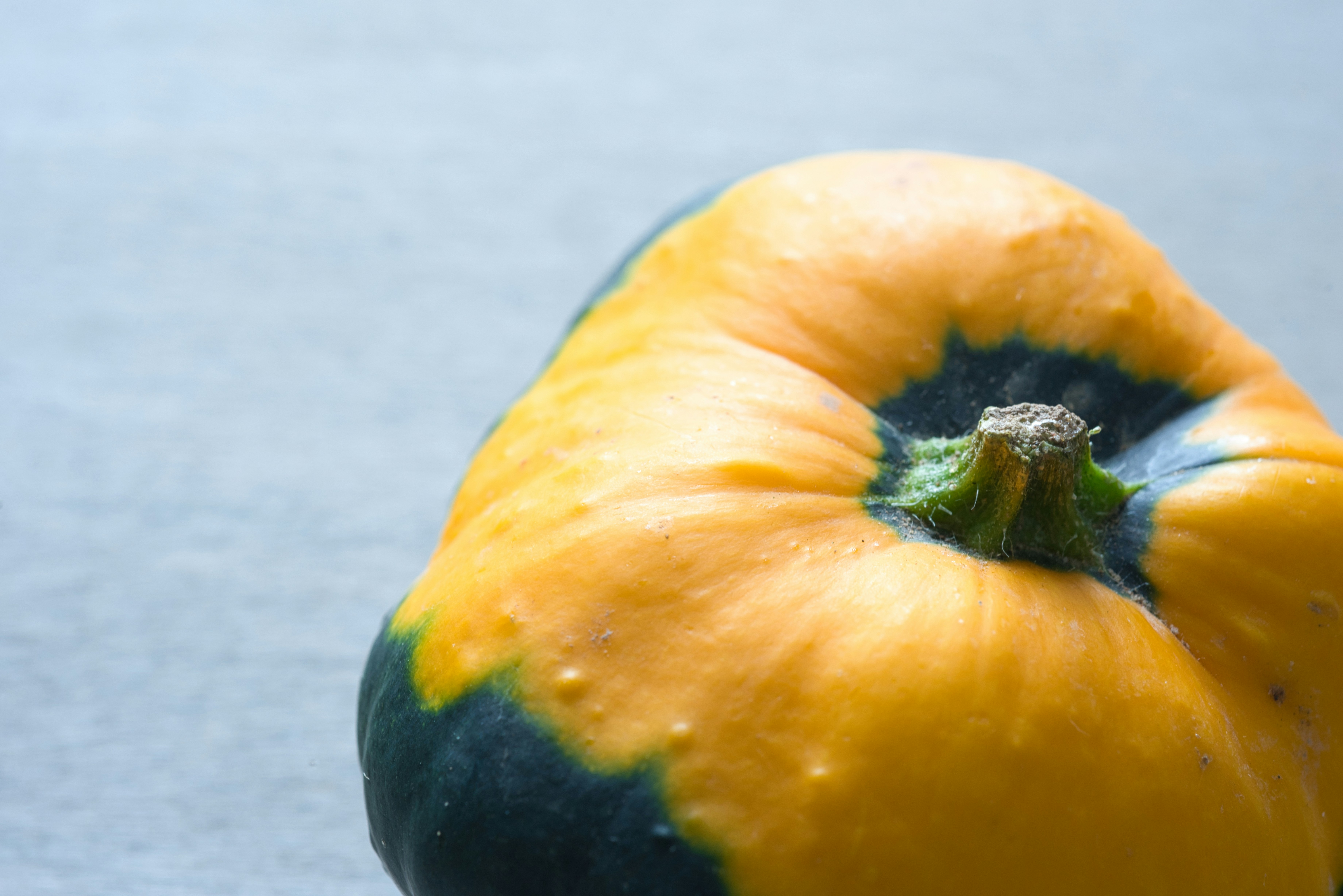 A magnified detail of a green pumpkin shows its textured surface and natural patterns. The image captures the subtle lines, shades, and organic imperfections of the skin. | Here is a sentence describing the image: a colorful squash with green and yellow.