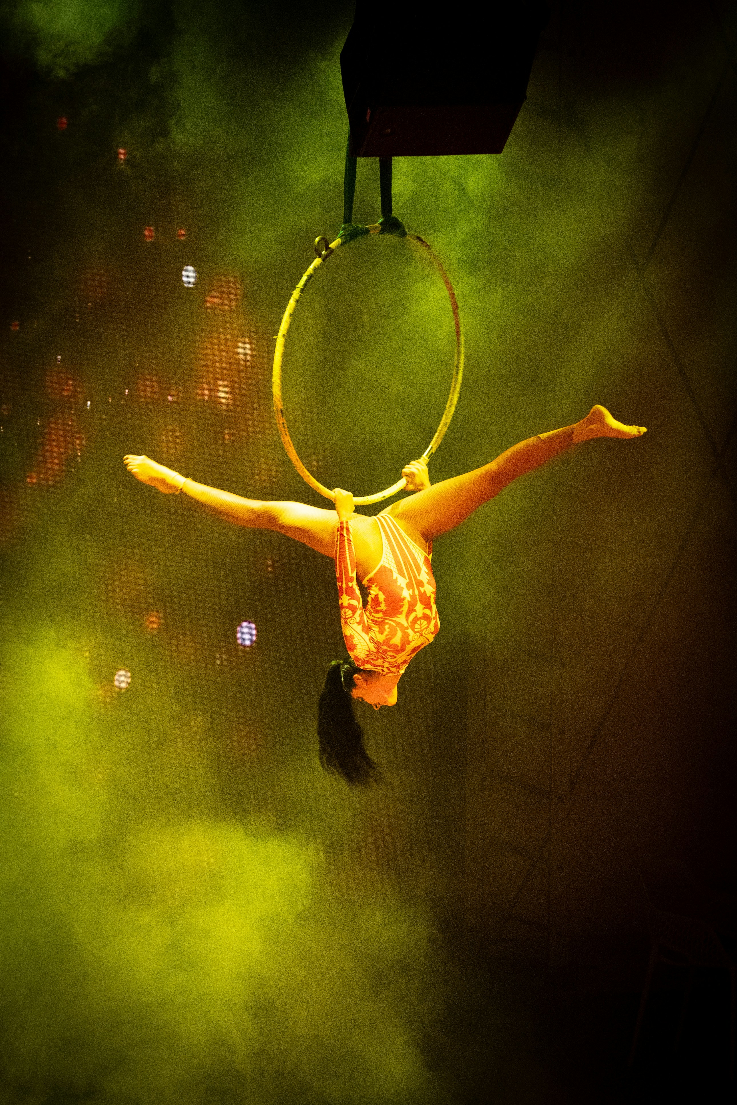 Artist doing acrobatic | Acrobat performs on an aerial hoop in a beautiful pose.