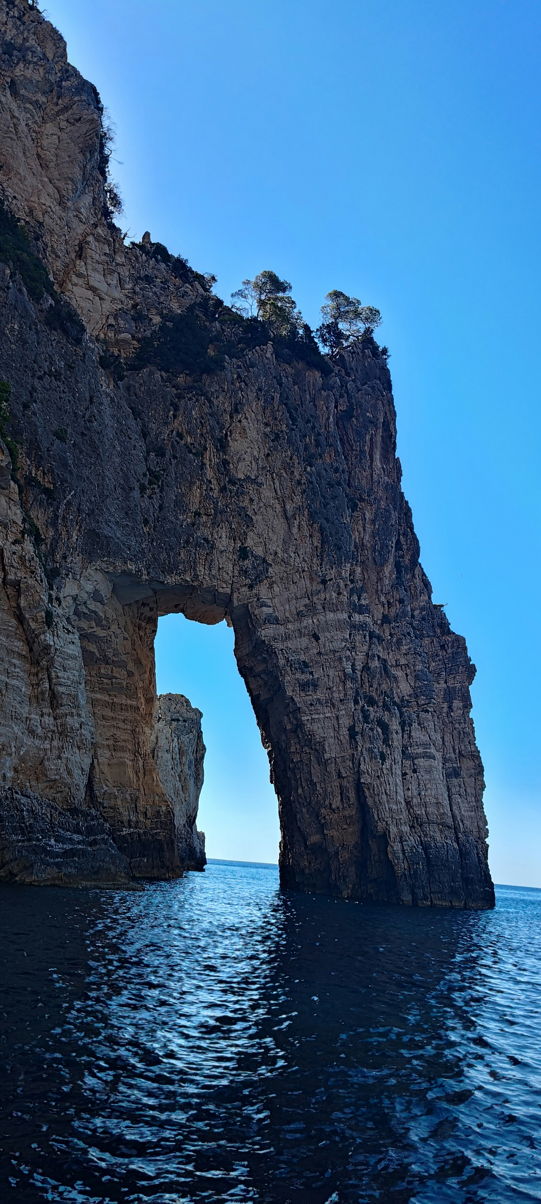 Sample photo from Asus Zenfone 10