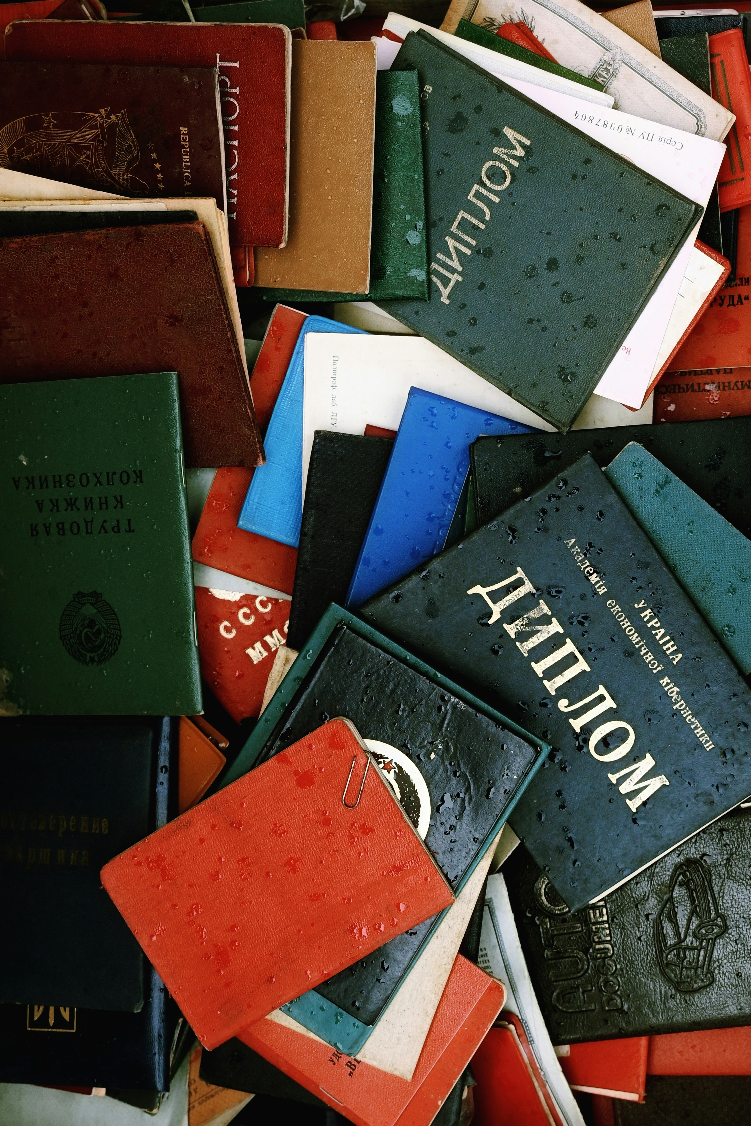 A vibrant collection of various books and diplomas, some adorned with raindrops, showcasing a rich tapestry of history and education.