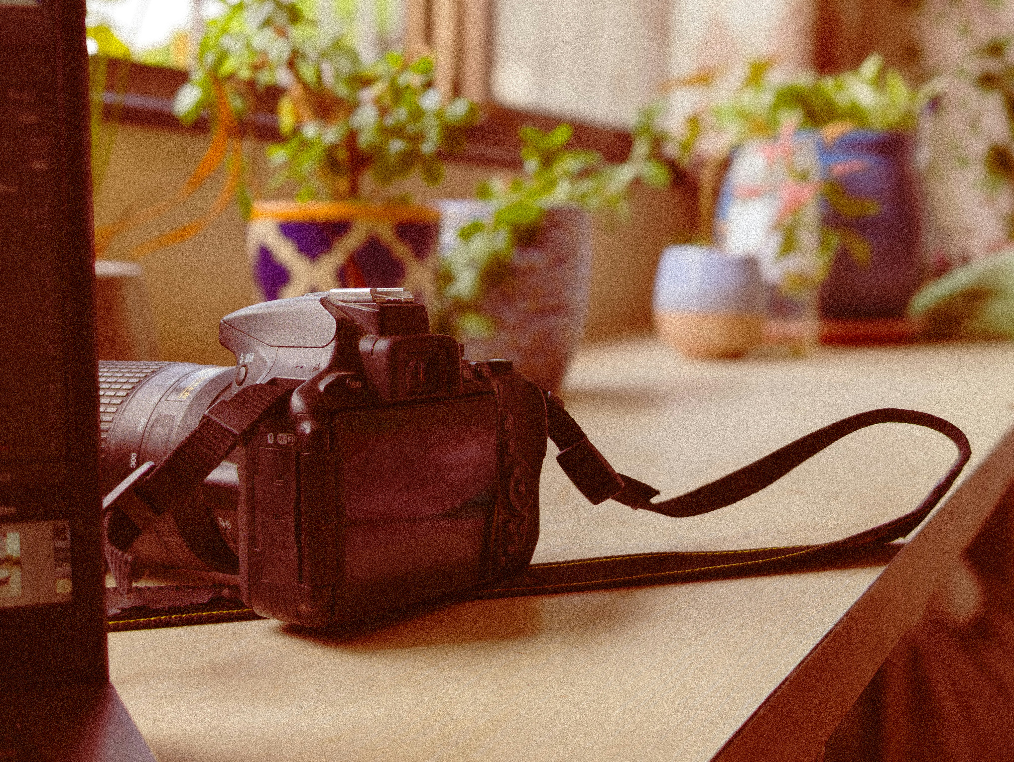 The Quiet Companion: A Photographer's Tool at Rest