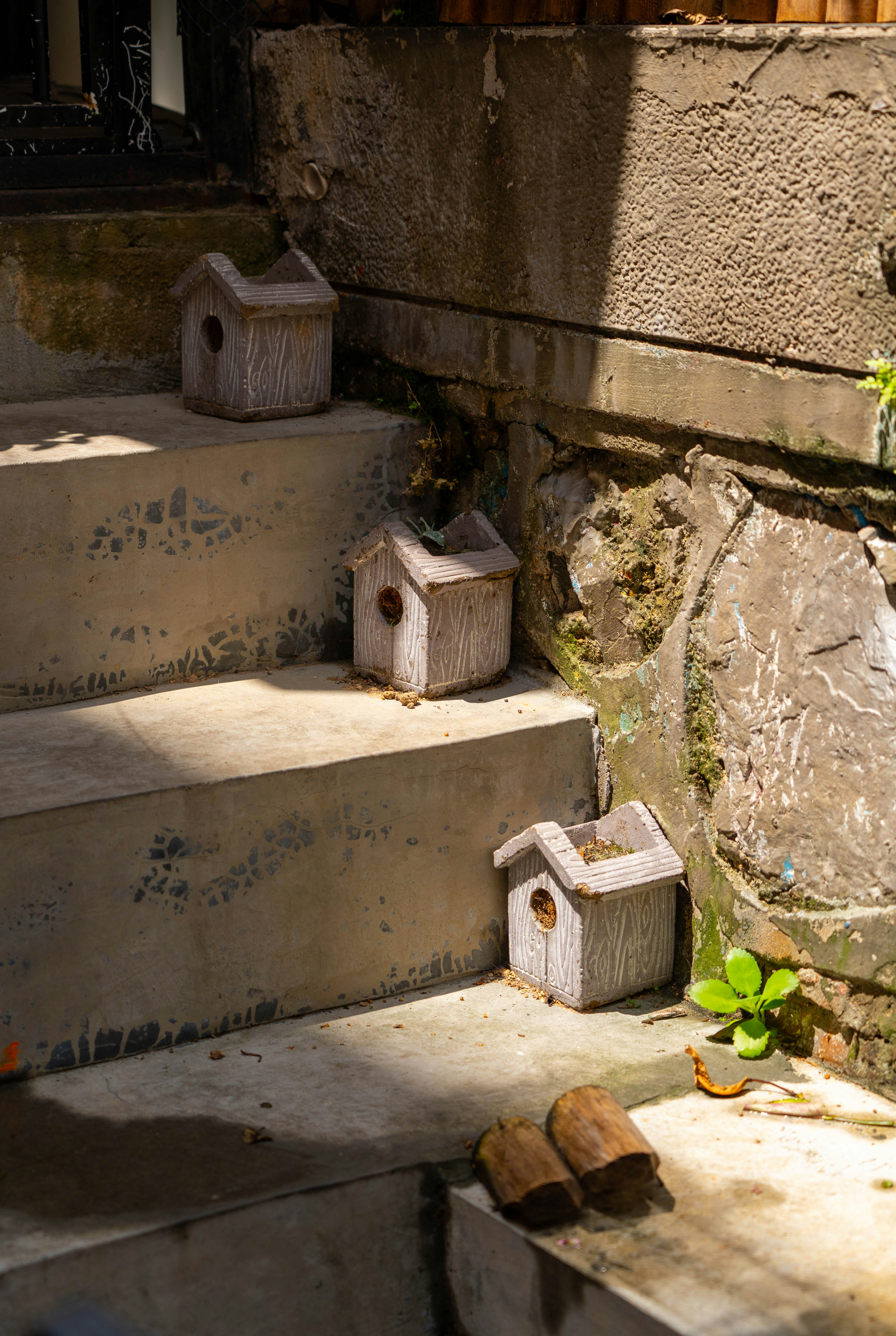 Whimsical Abode: Nature's Touch on Urban Steps