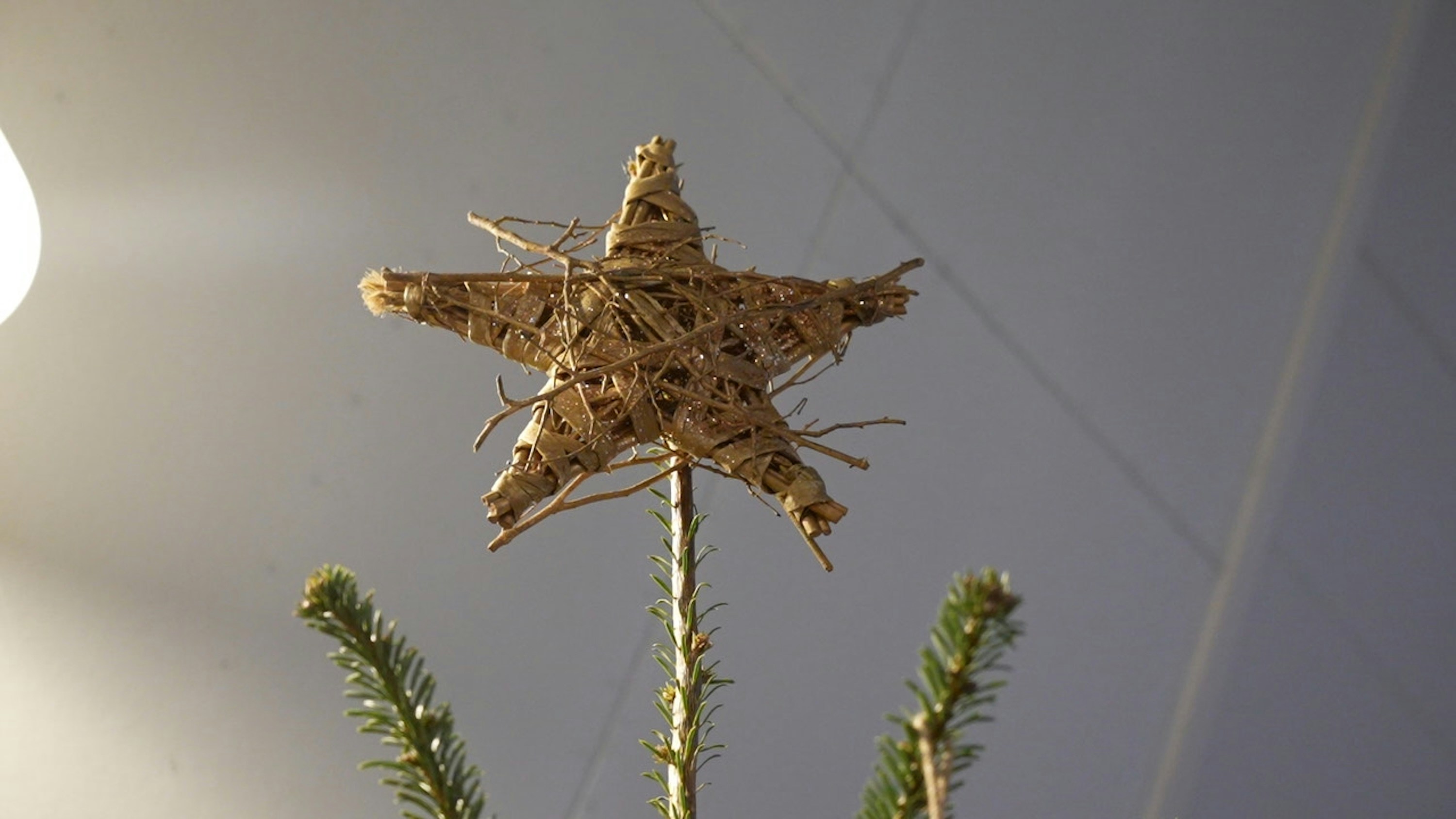 Natural Elegance: A Rustic Star atop the Evergreen
