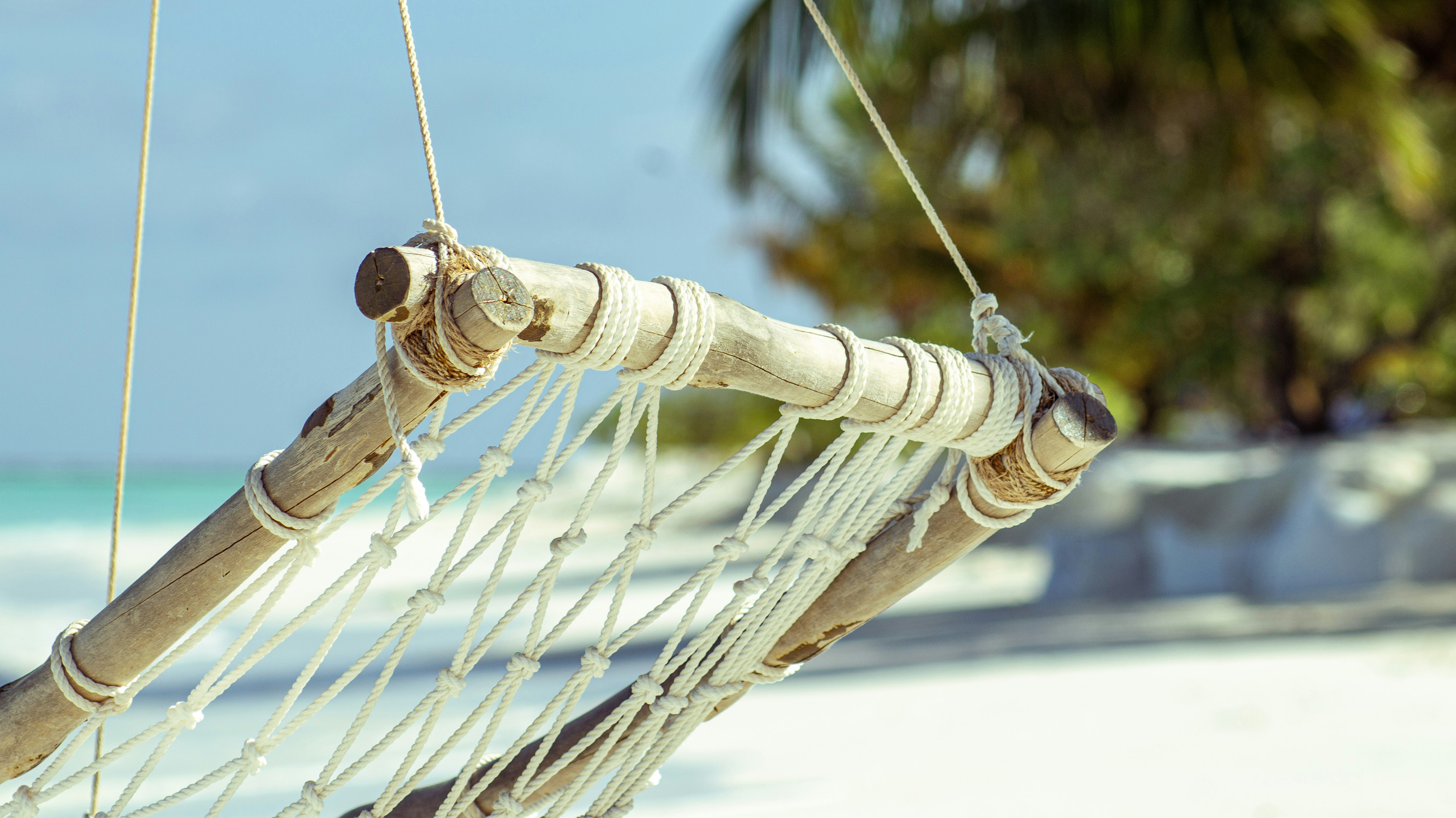 A beach hammock hangs on a tropical shore.