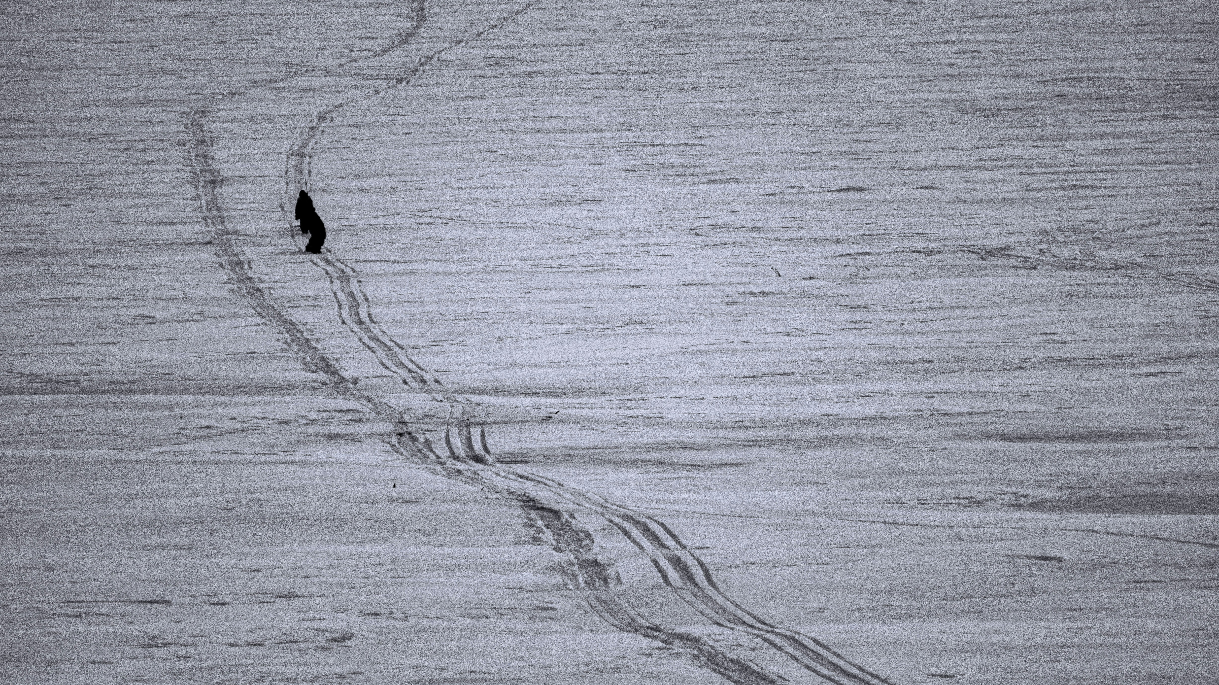 A person skis along a snowy path.