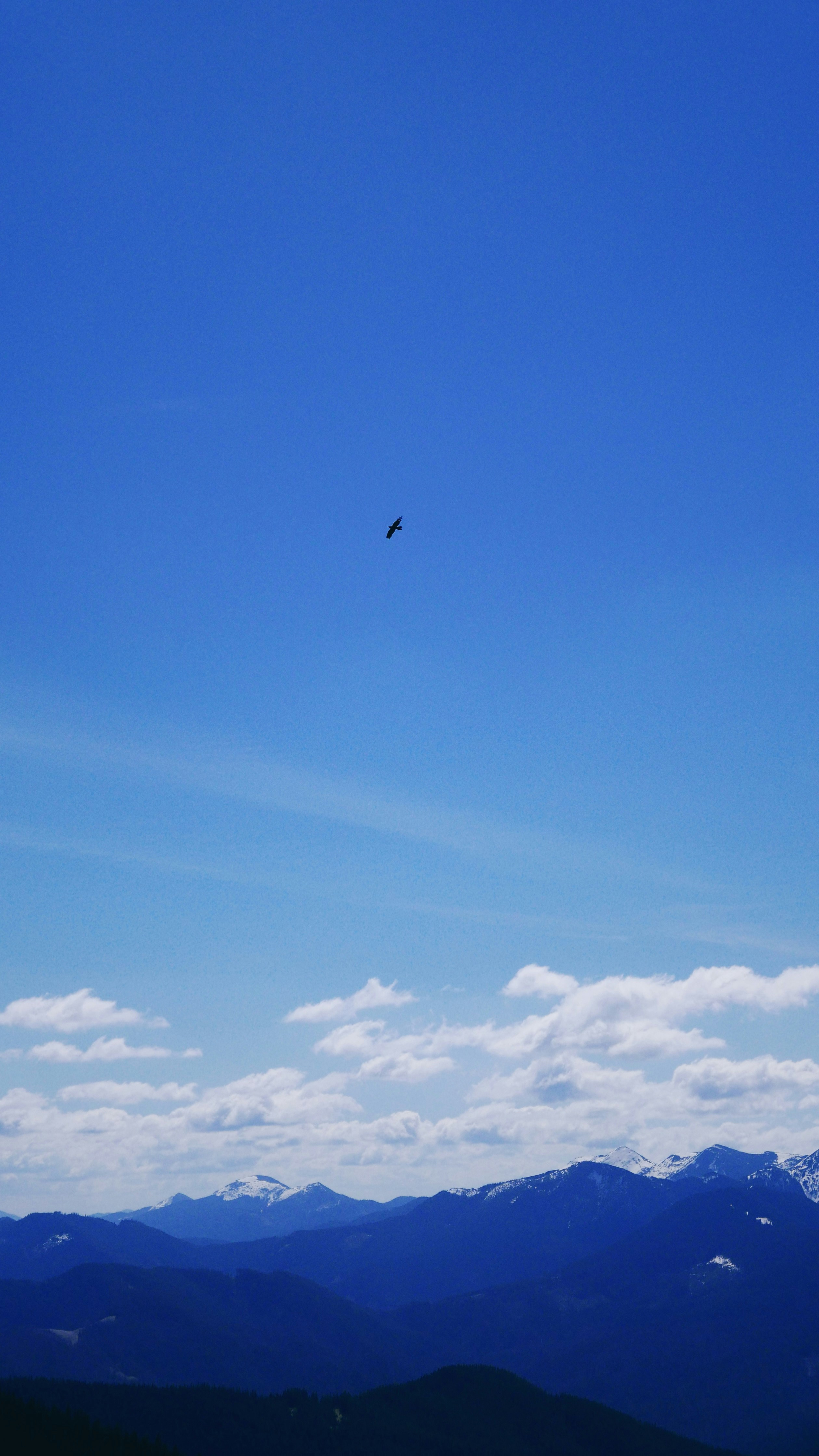 Soaring Above the Peaks