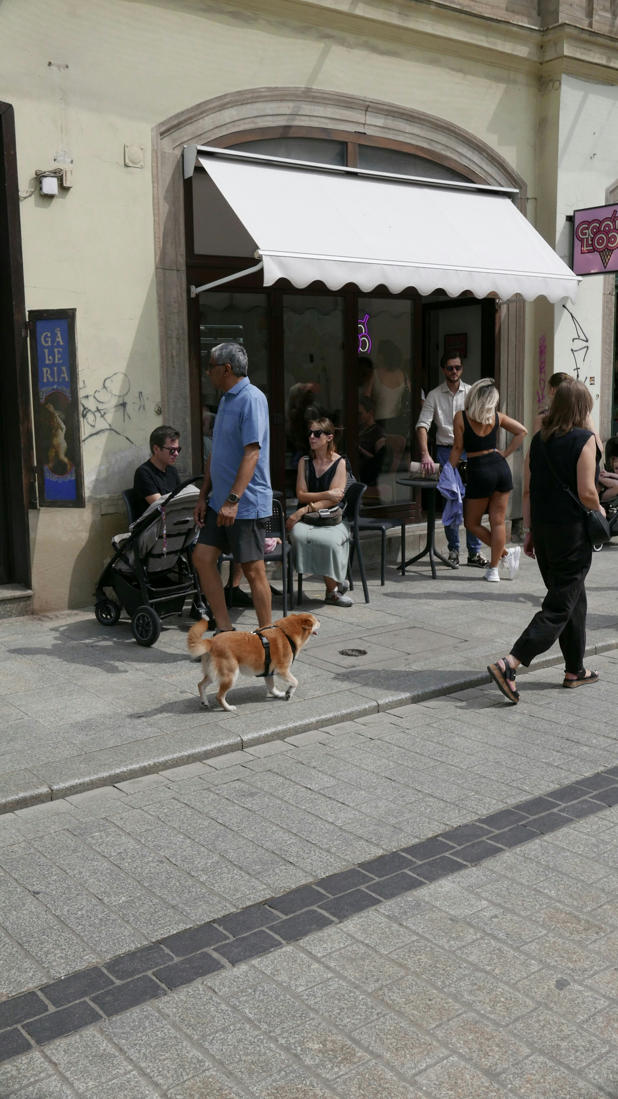 A Stroll Through Urban Life