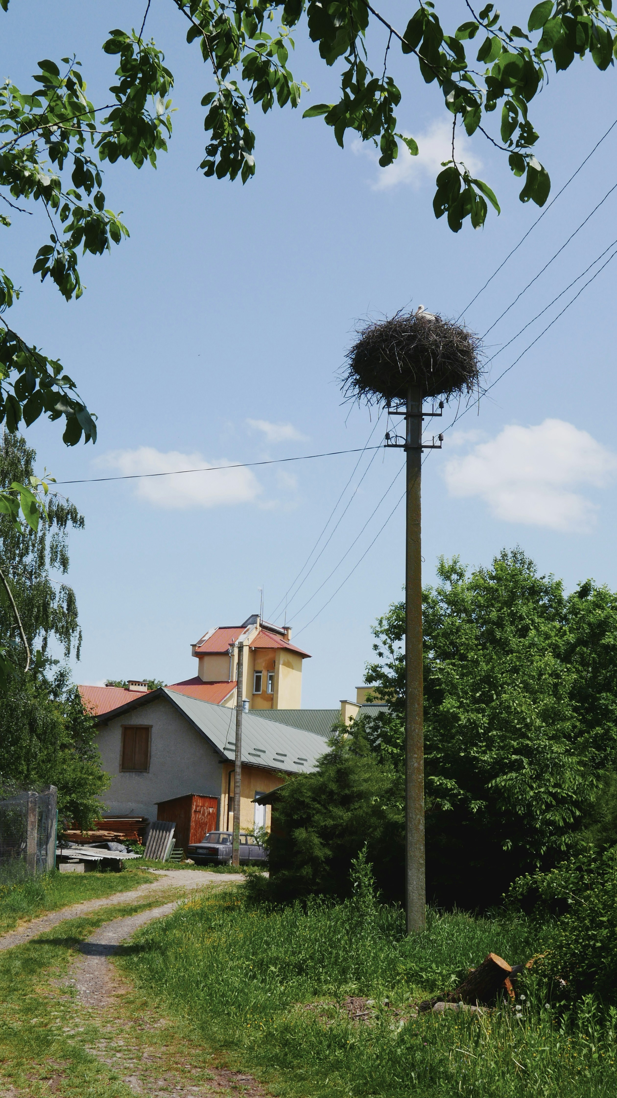 Somewhere, traveling. | A stork's nest perches atop a utility pole.