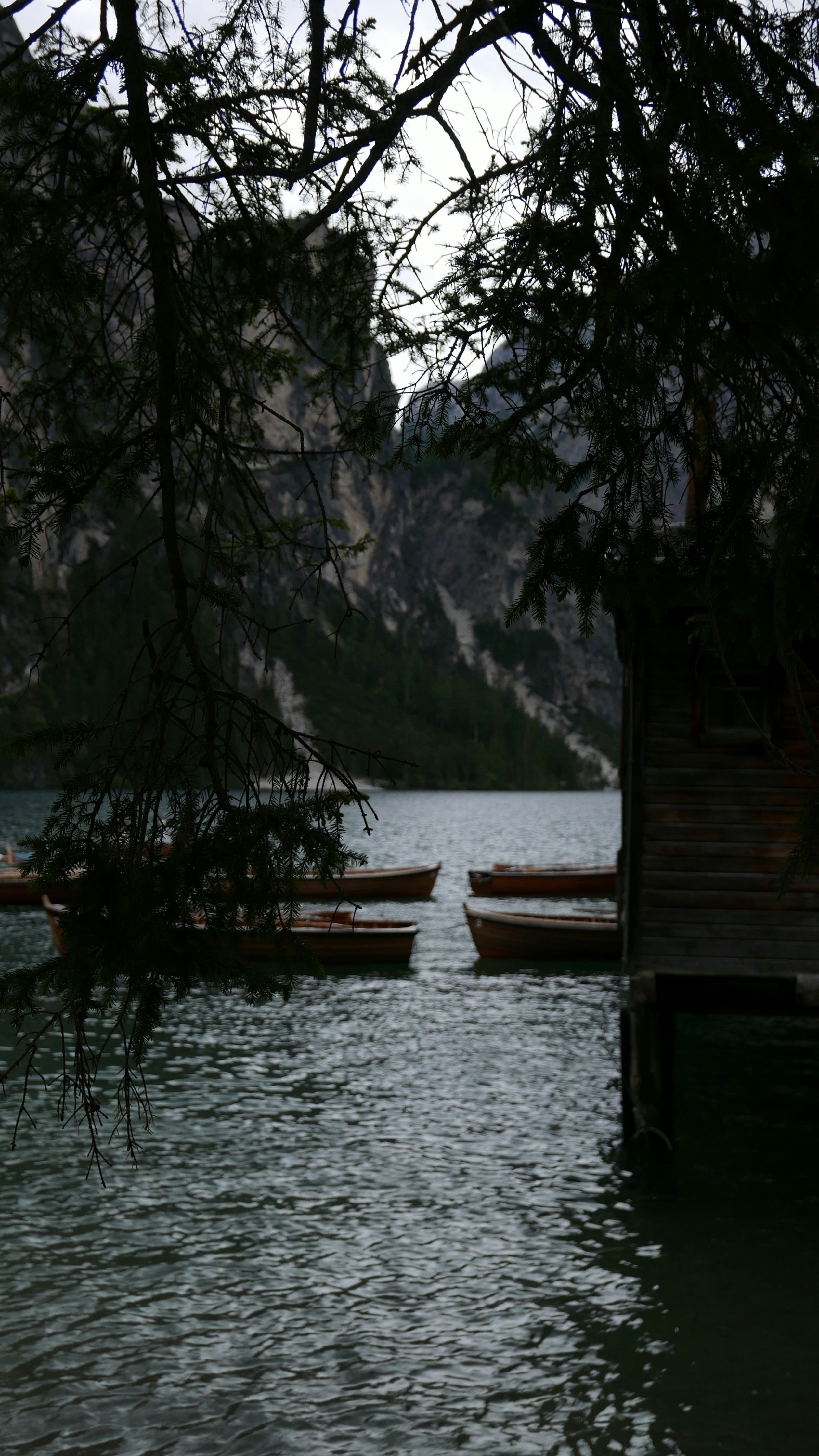 Whispers of Serenity by the Water's Edge