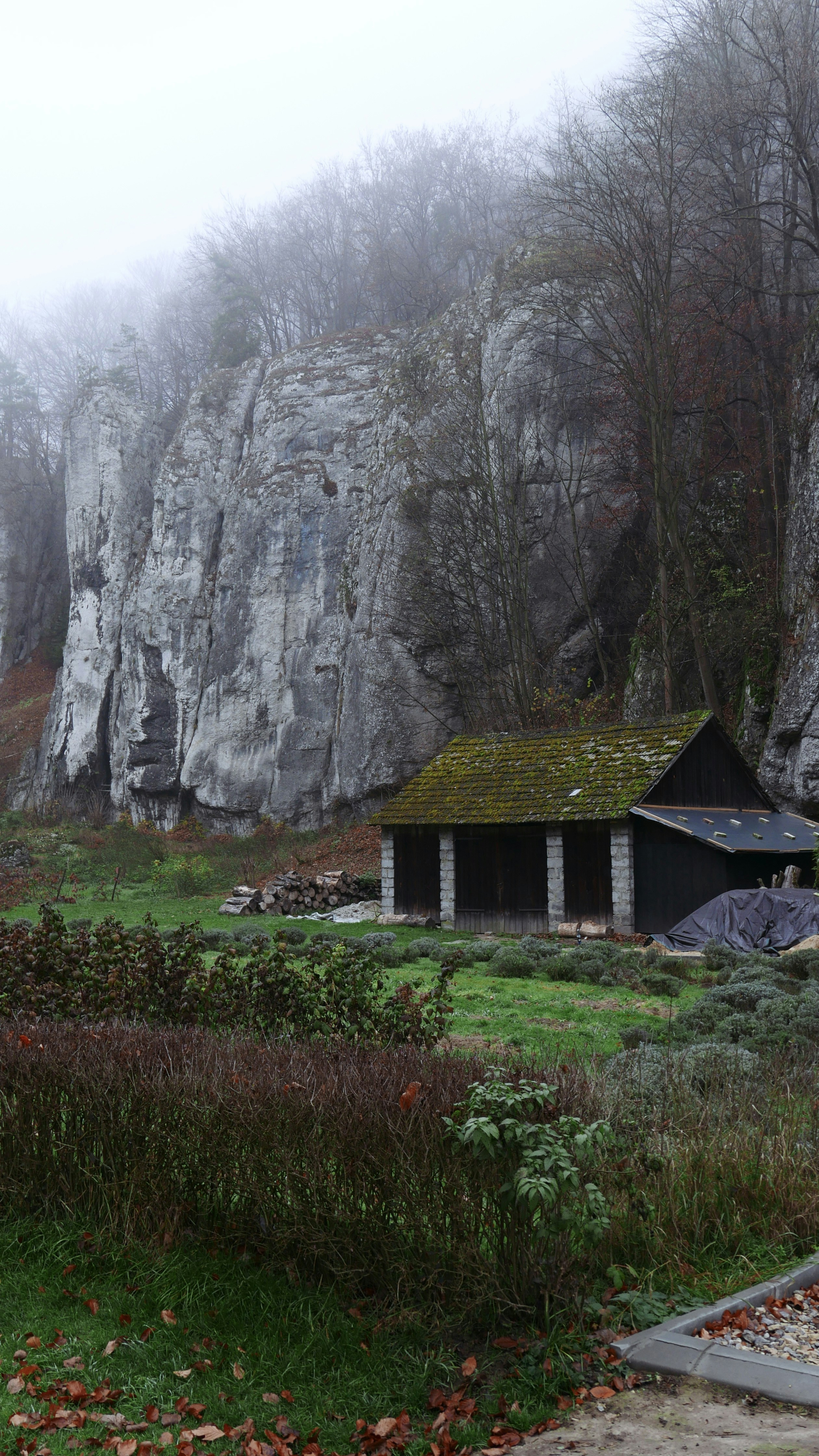 '24 | A small cabin rests beneath a large rock cliff.