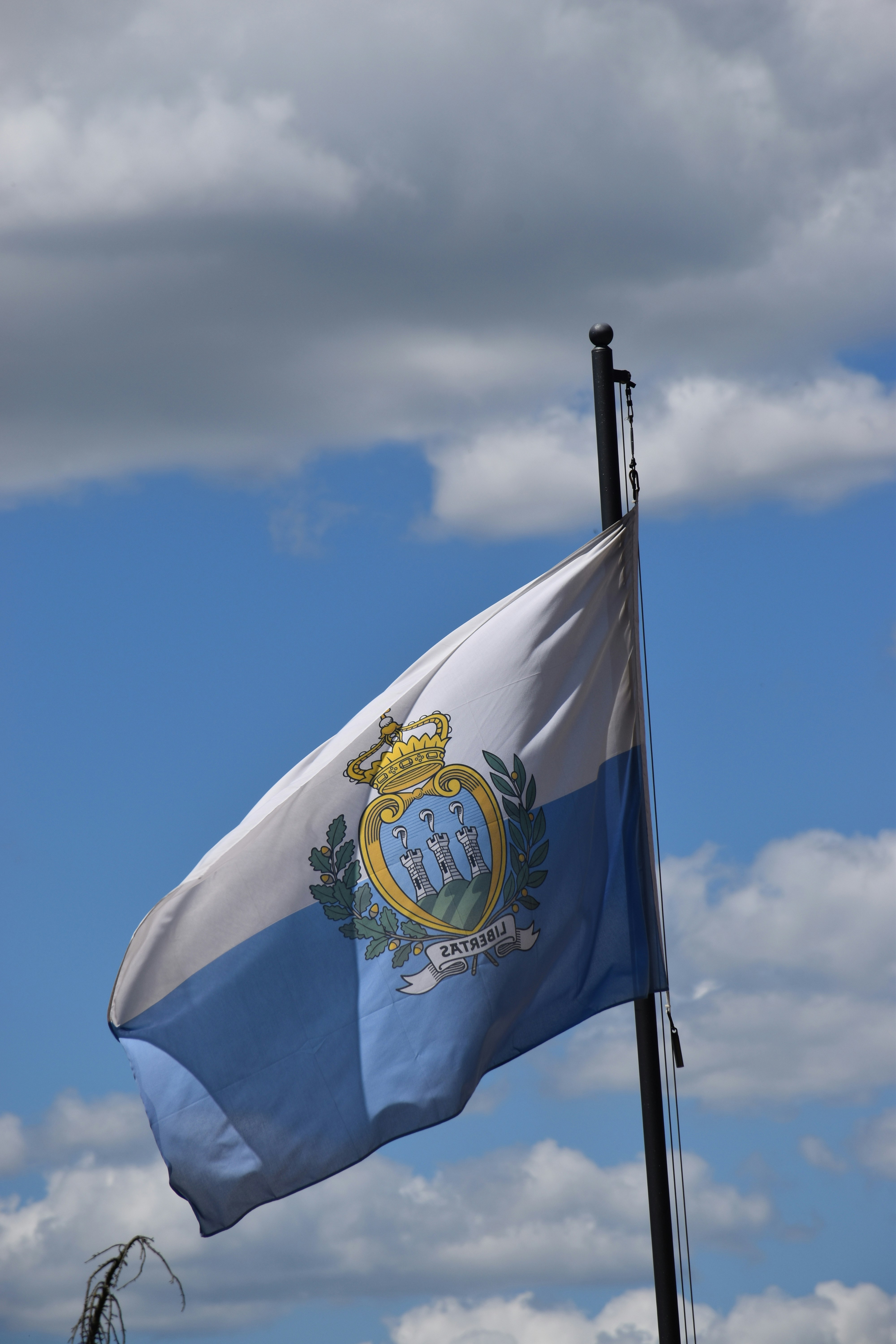 Heraldic Breeze: A Flag's Dance Under the Sky