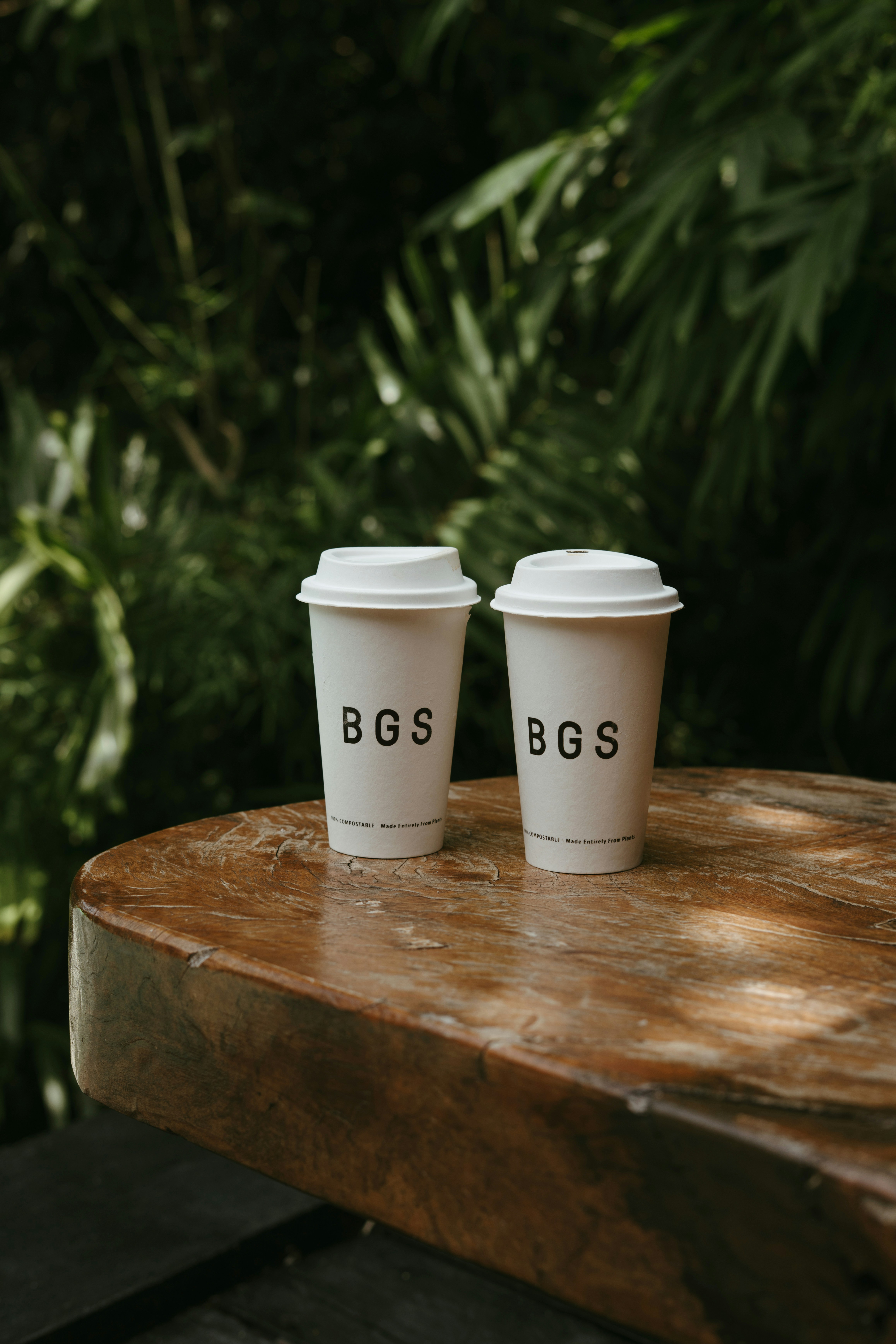 Sips of Serenity: A Coffee Moment in Nature