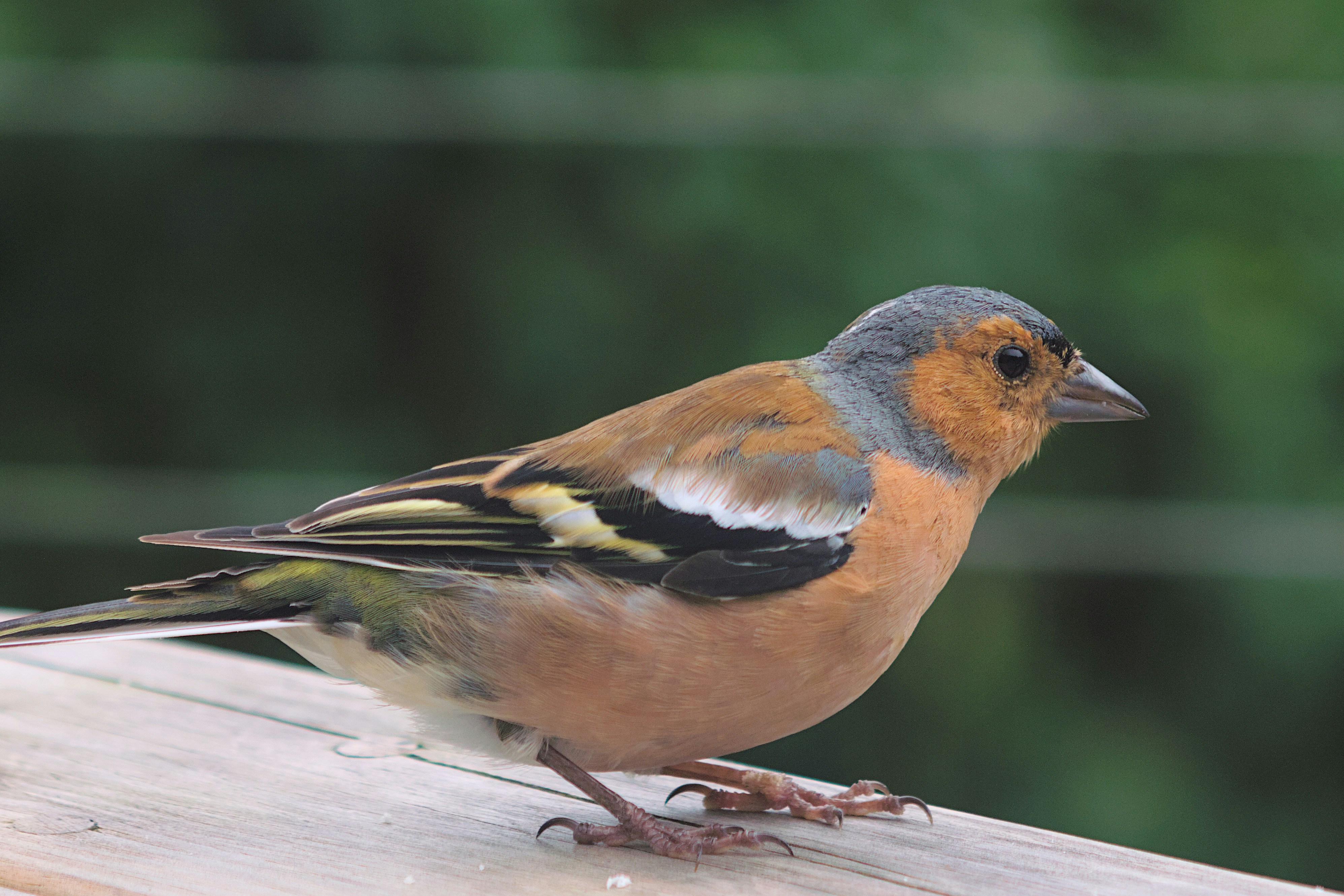 Lance Jacob (@trousers2000) | Komunitas Foto Unsplash