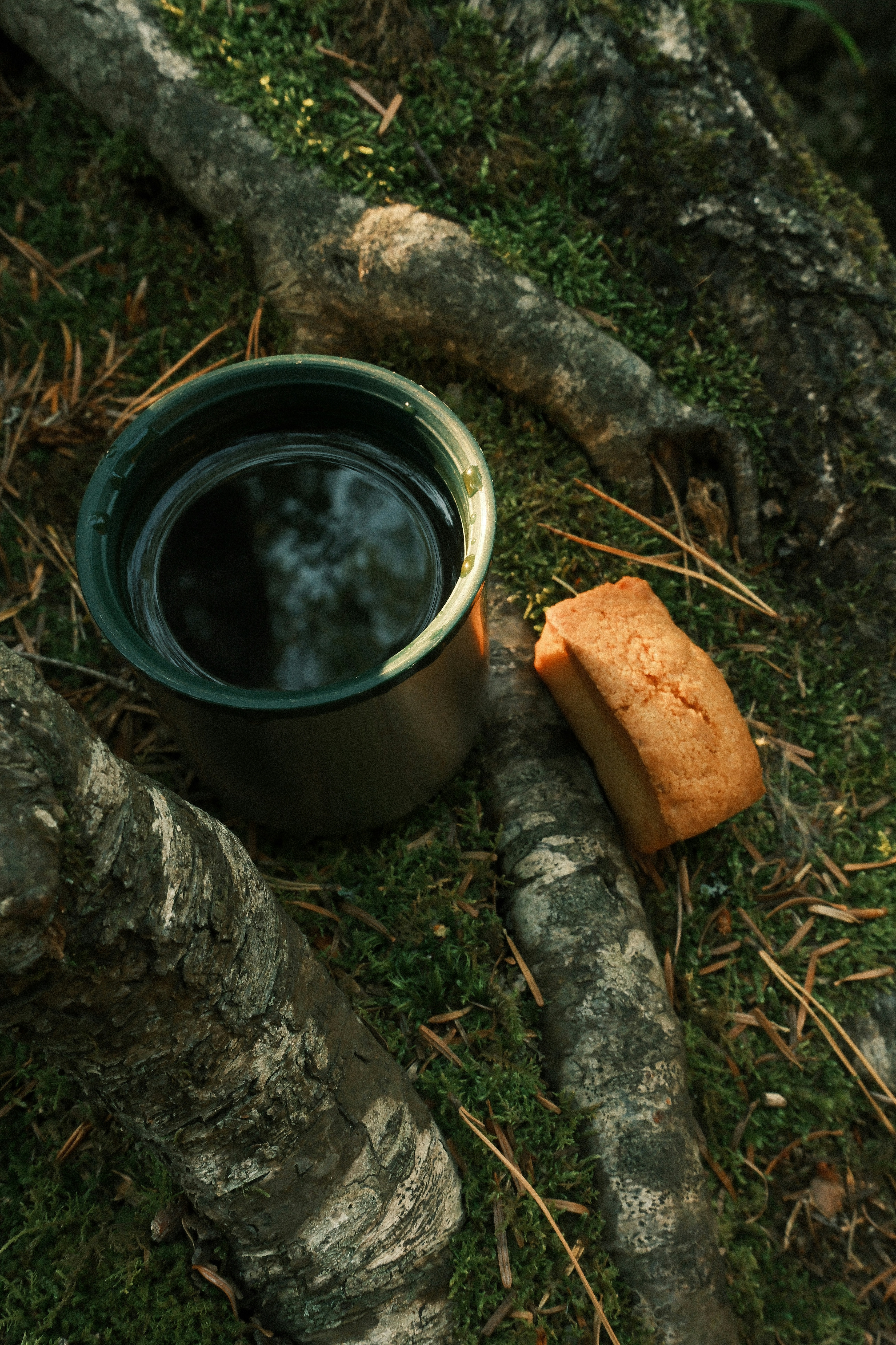Nature's Simple Pleasures: A Moment of Reflection