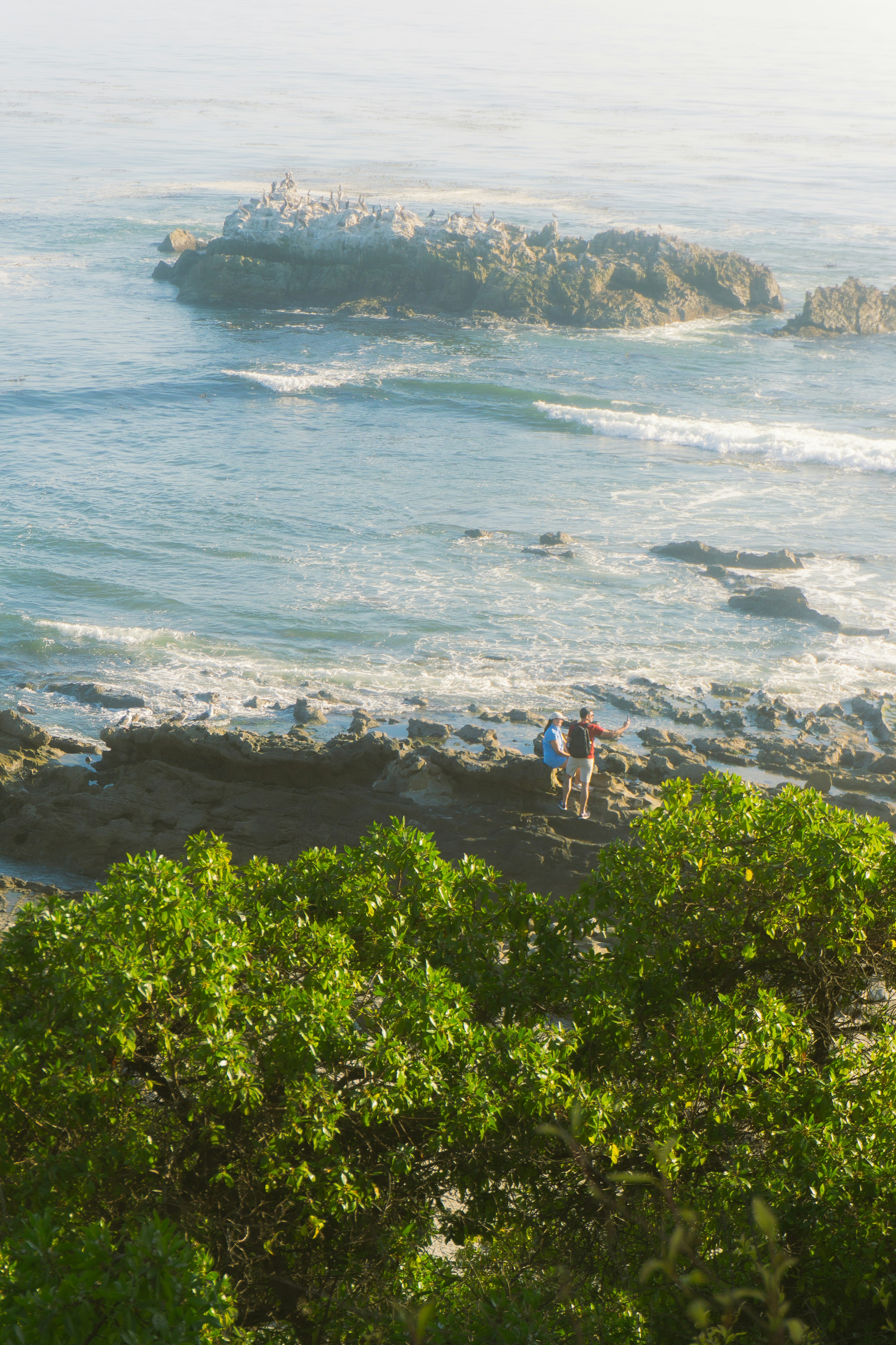 Coastal Serenity: A Moment by the Shore