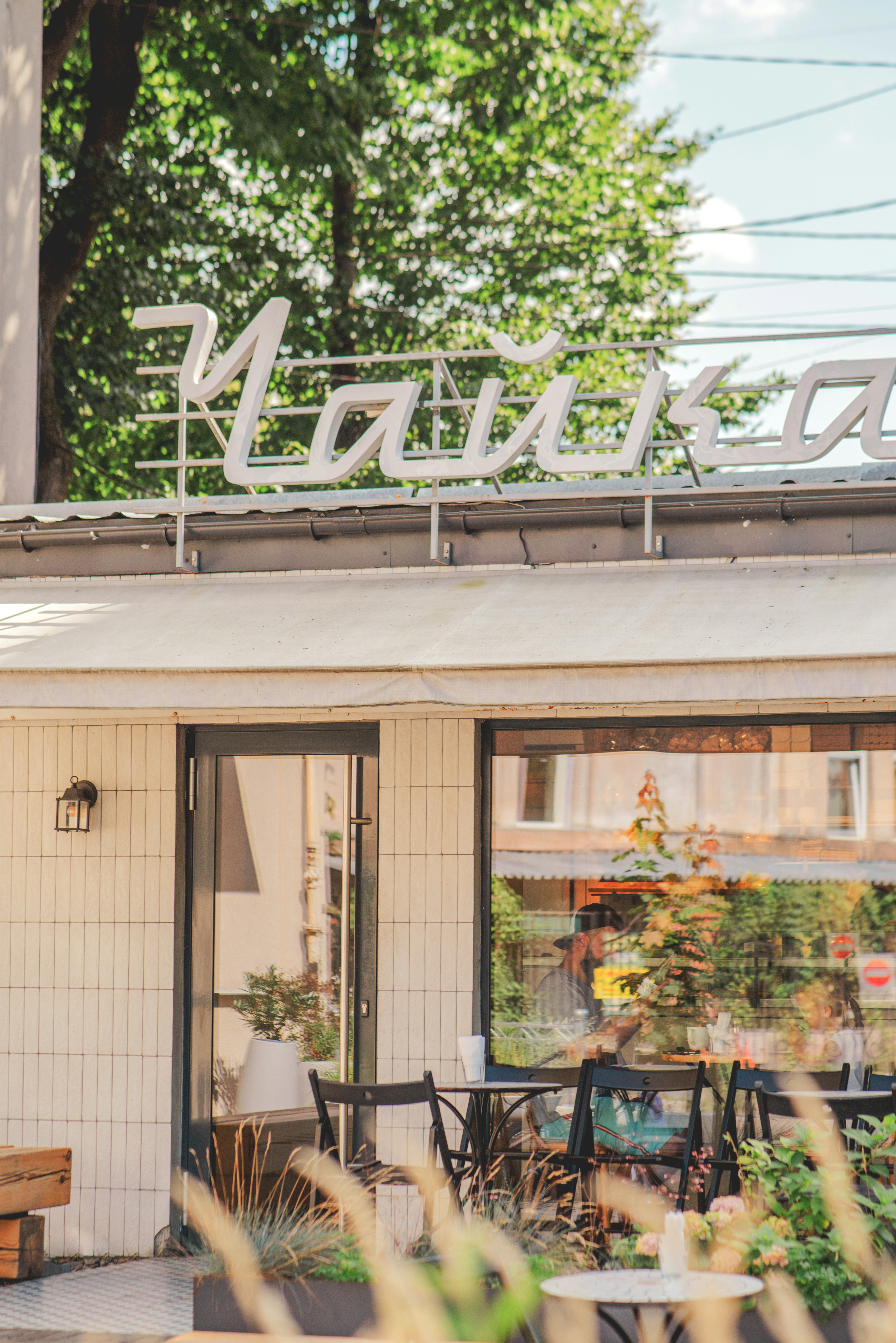 Urban Oasis: A Serene Café Retreat