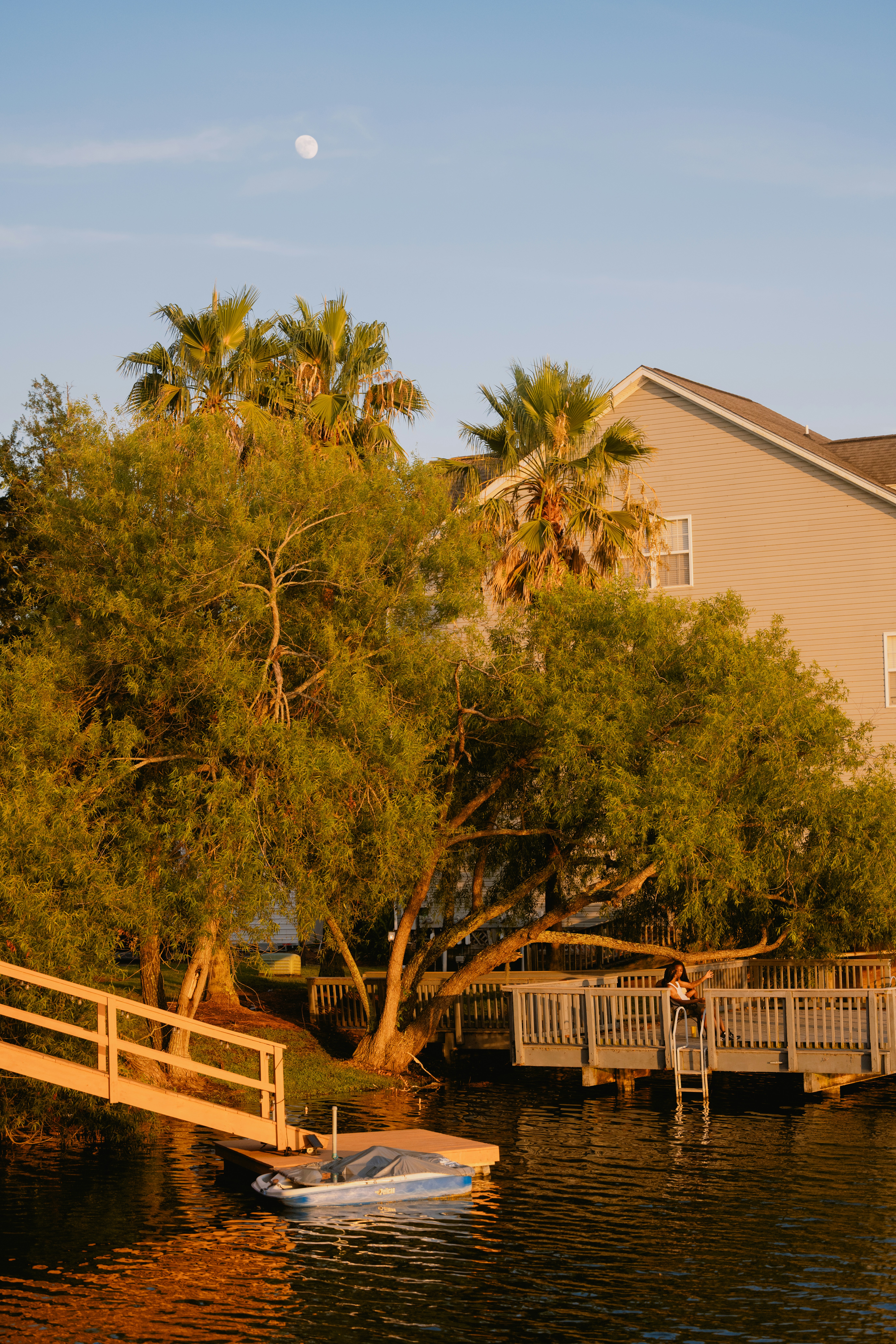 A house, dock, trees, and the moon.