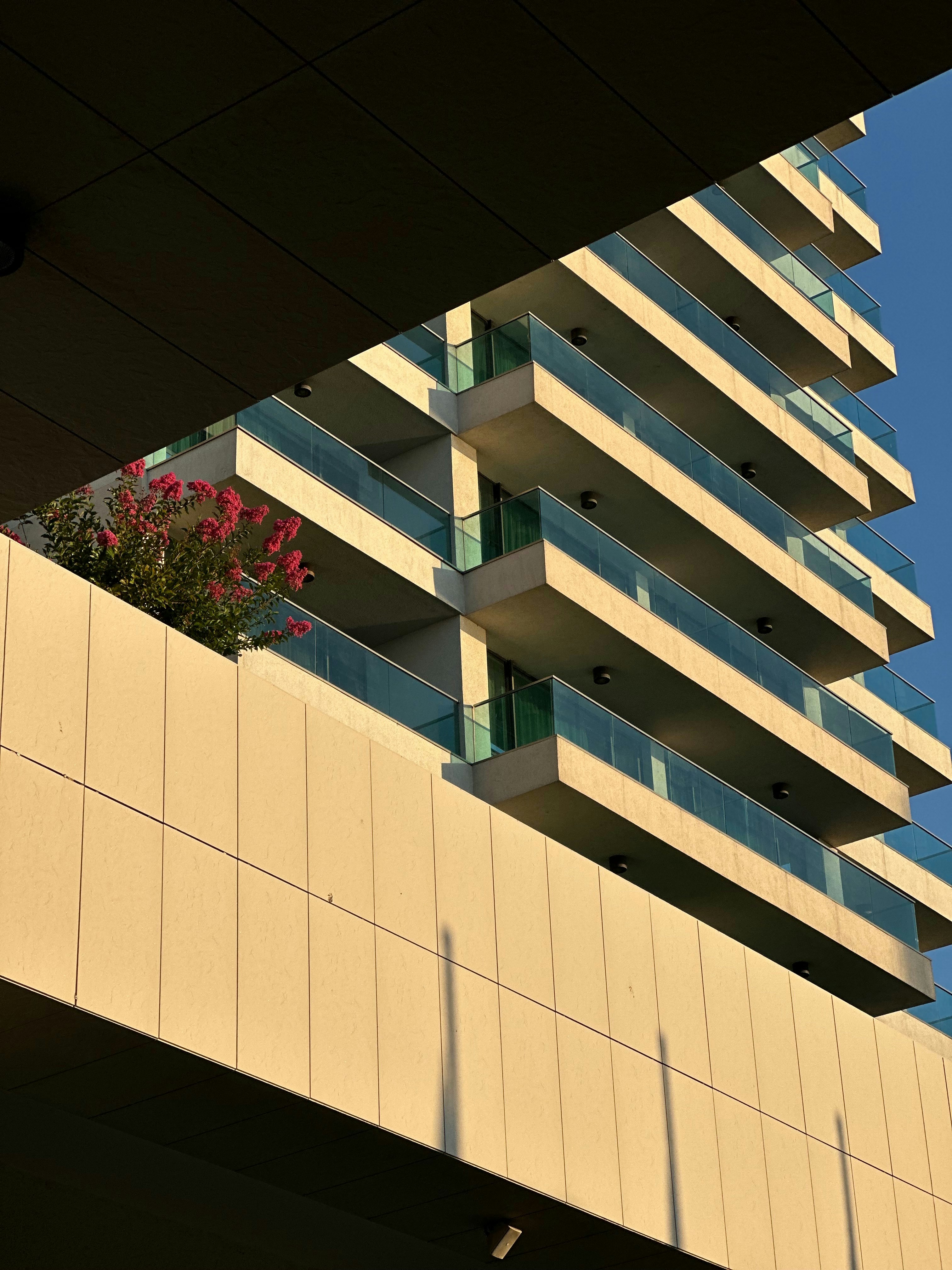 Architectural Harmony: Nature Meets Structure
