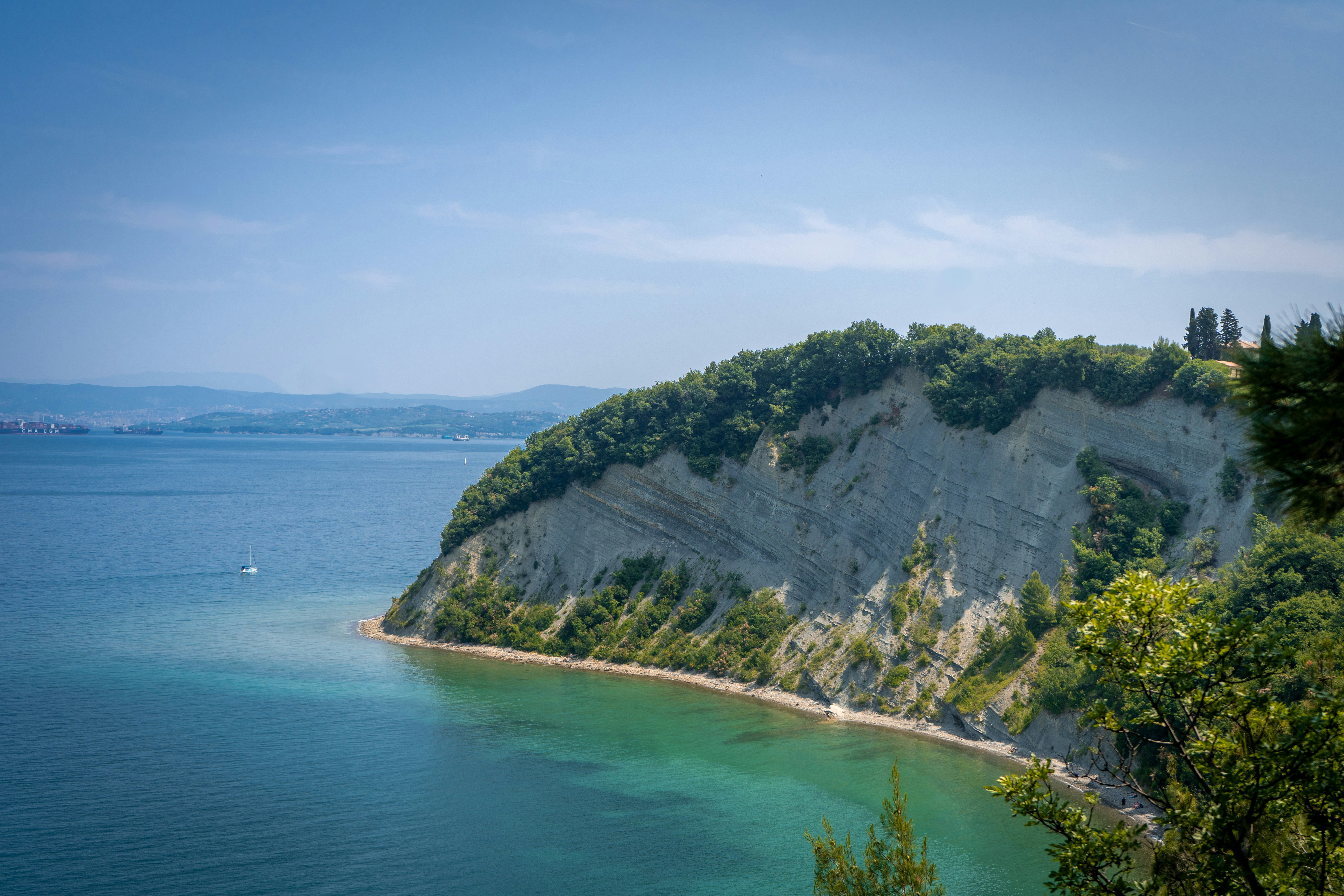 Cliffside with trees overlooks the turquoise water.