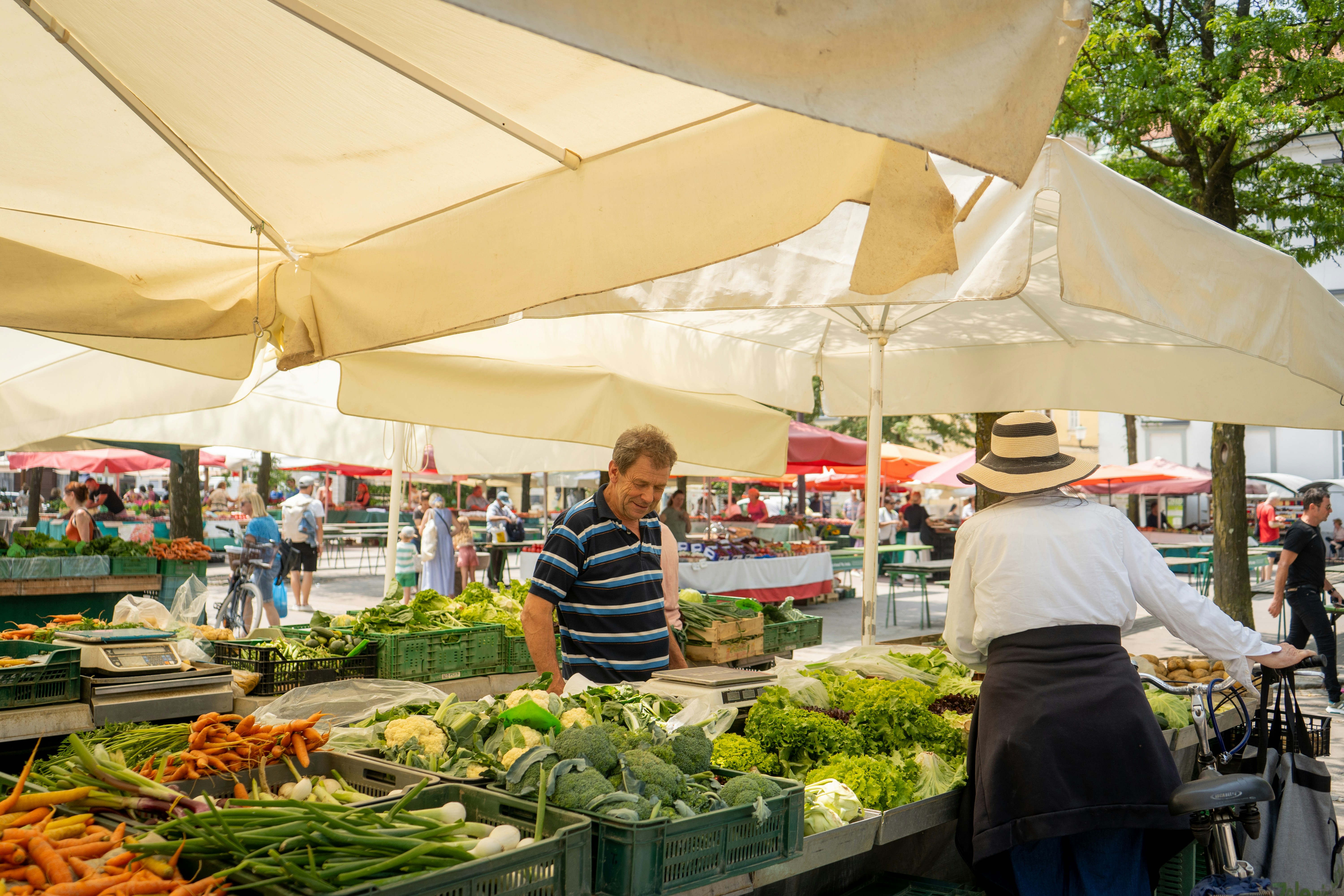 People shop for produce at an outdoor market.