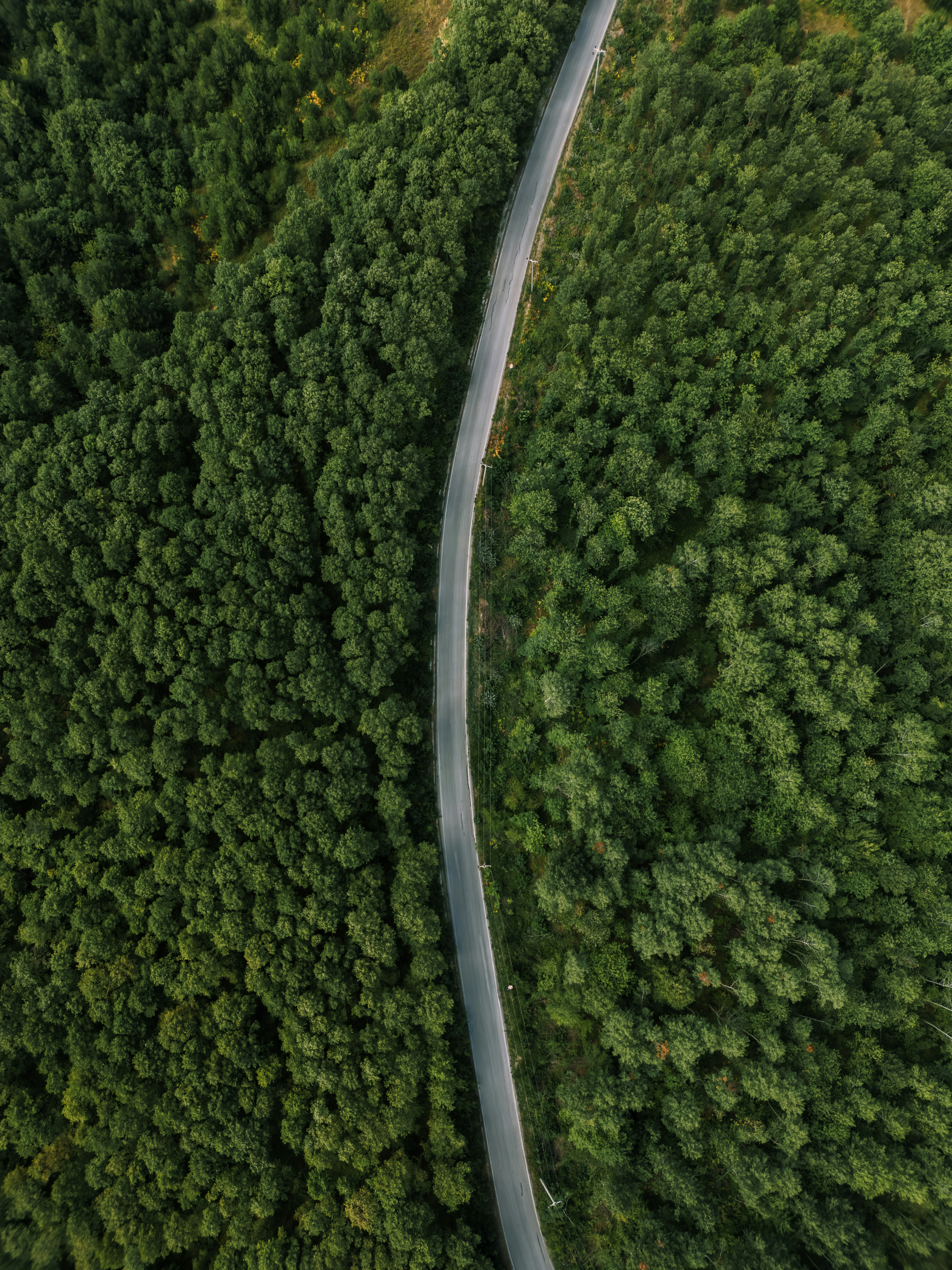 An overhead view of a winding road in the forest. photo – Free ...